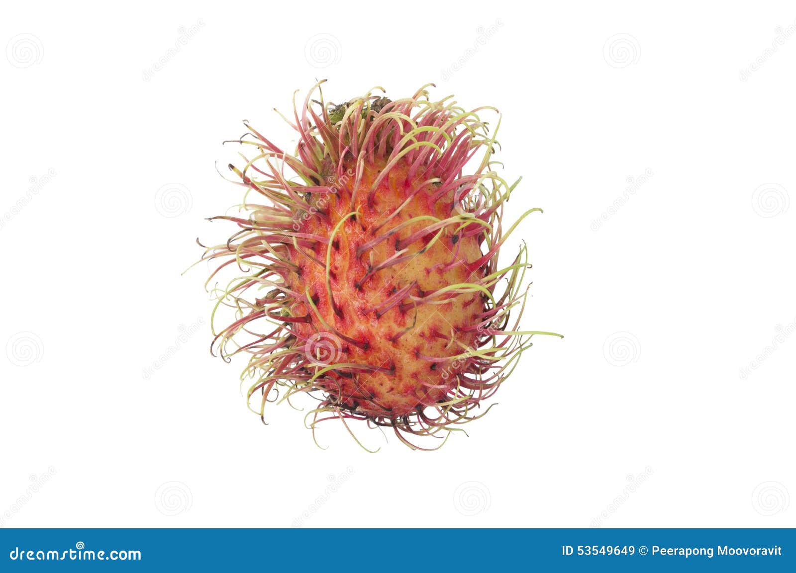 Rambutan Fruit Tropical Natural Red Hairy Concept Stock Image - Image ...