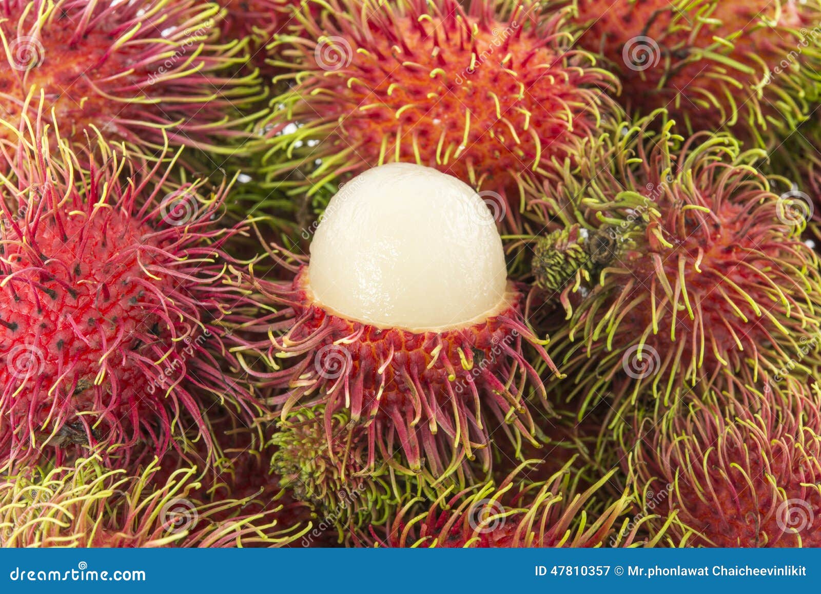 Rambutan stock image. Image of juicy, dessert, food, natural - 47810357