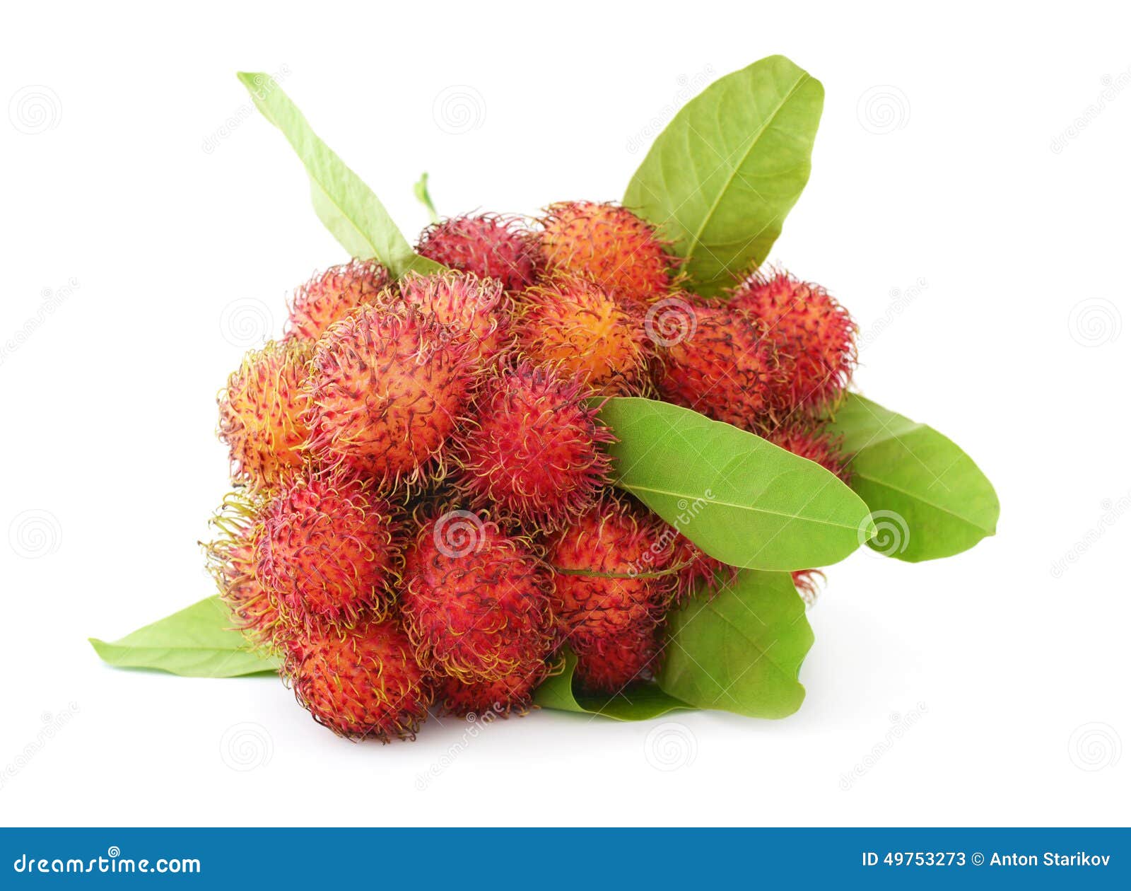 Rambutan stock image. Image of asian, crop, bunch, exotic - 49753273