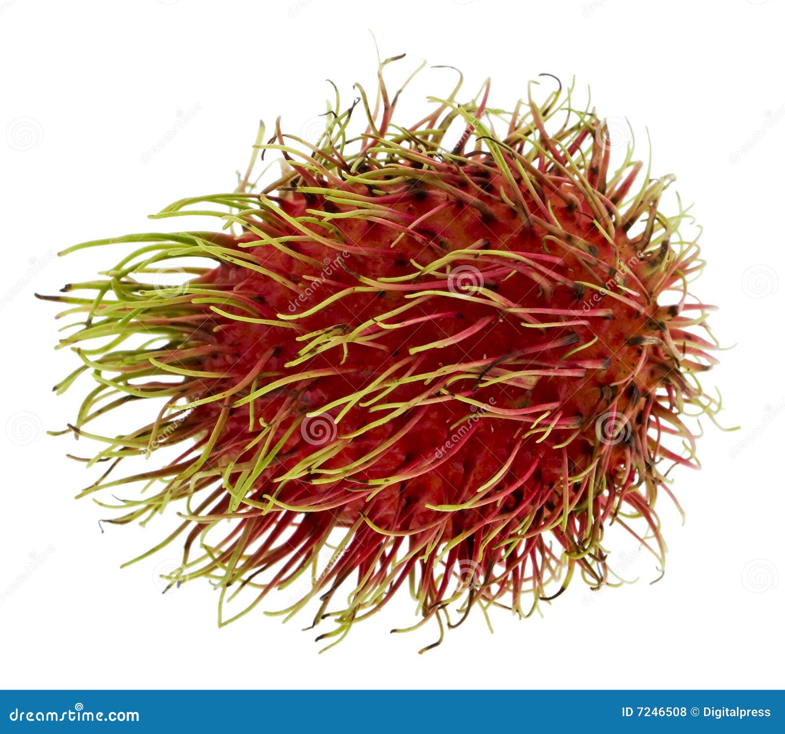 Rambutan, fruta exótica foto de stock. Imagem de tropical - 7246508