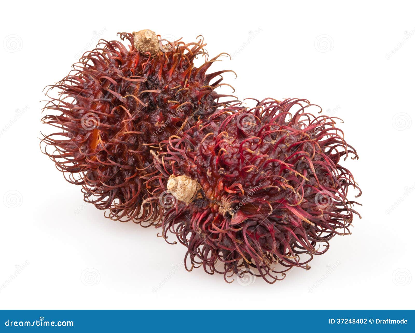 Rambutan group stock photo. Image of fruit, healthy, brown - 37248402