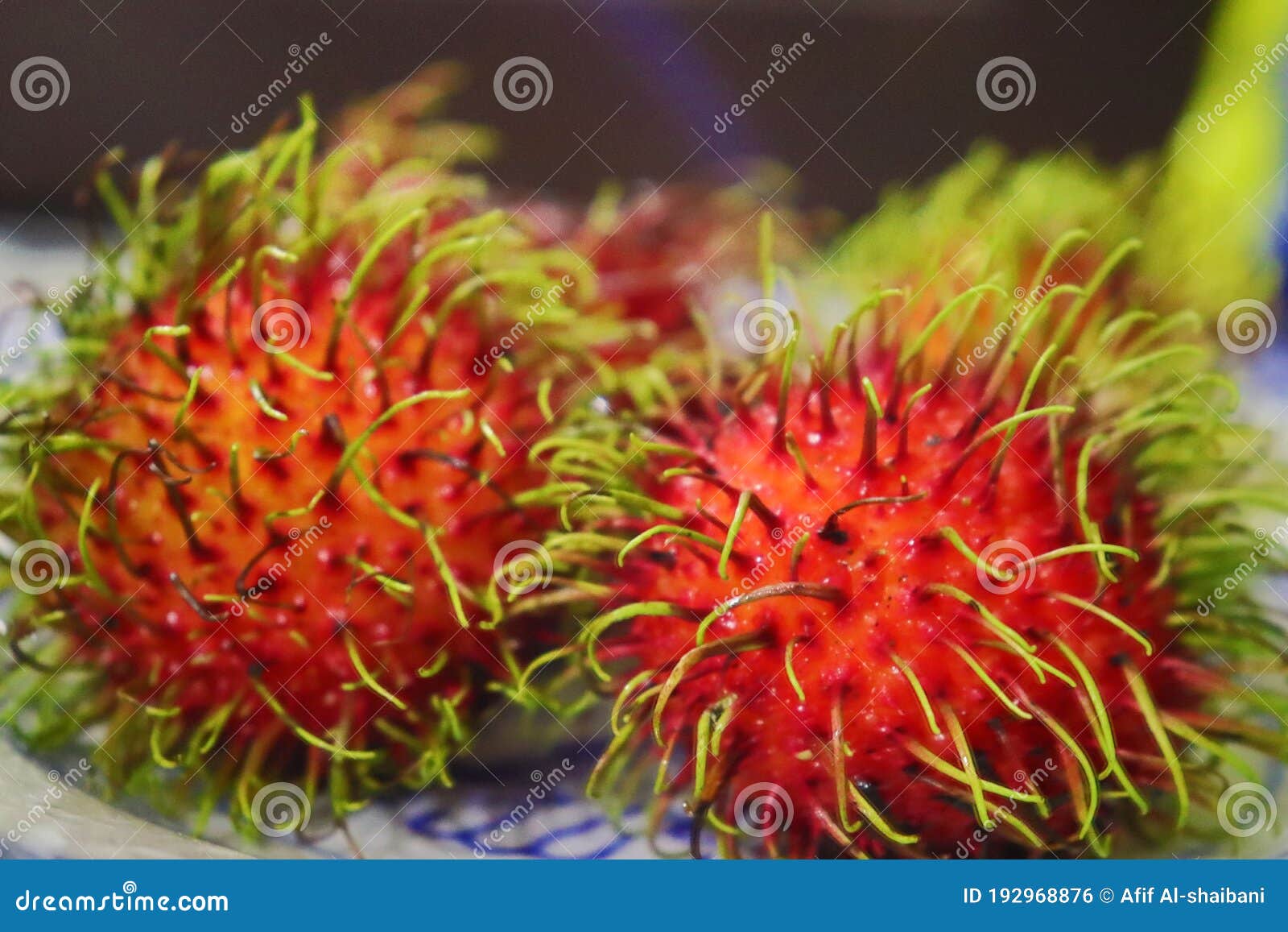 Rambutan Hairy Exotic Fruit Stock Photo - Image of fruit, hand: 192968876