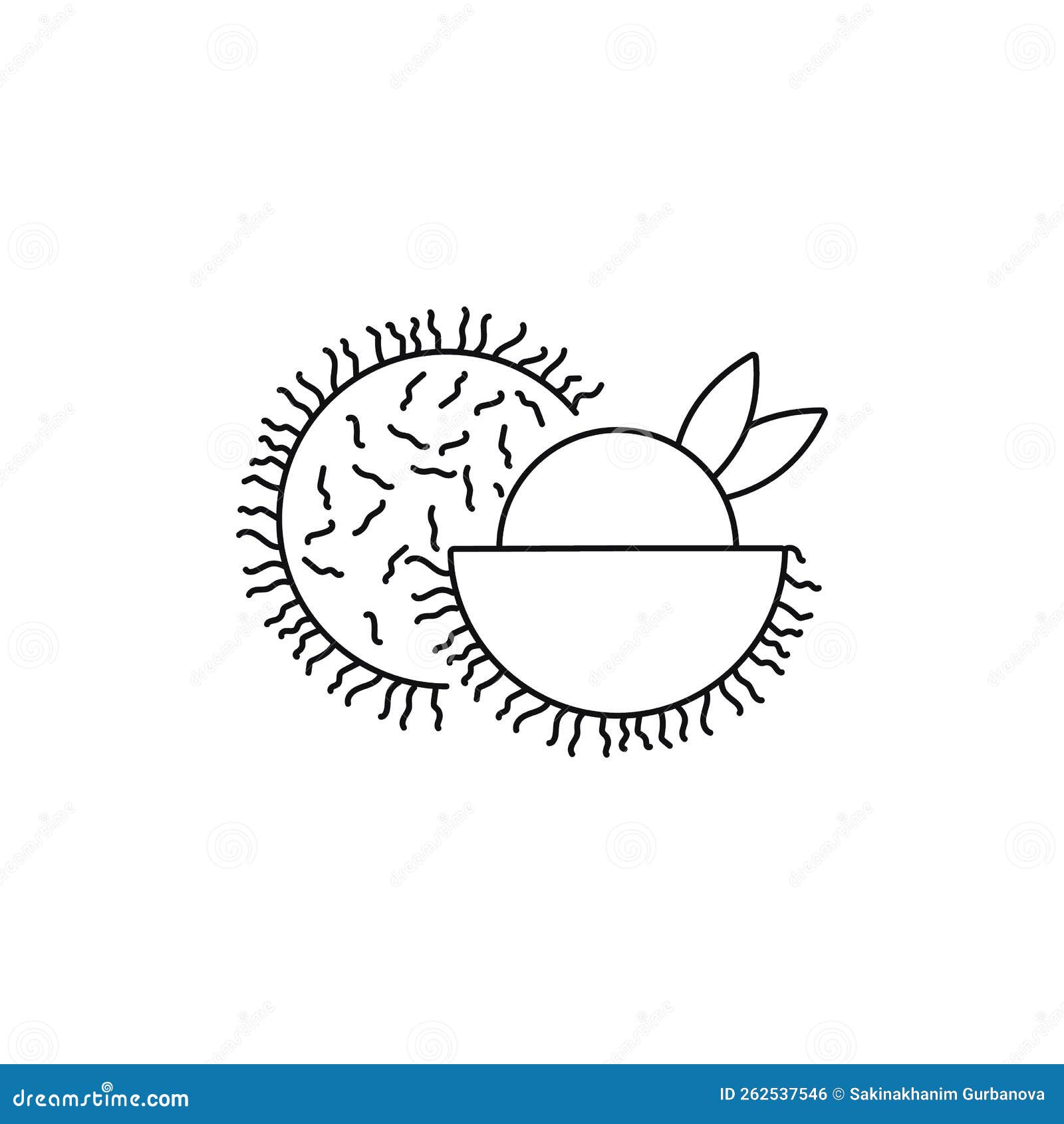 Rambutan Icon, Linear Isolated Illustration, Thin Line Stock ...