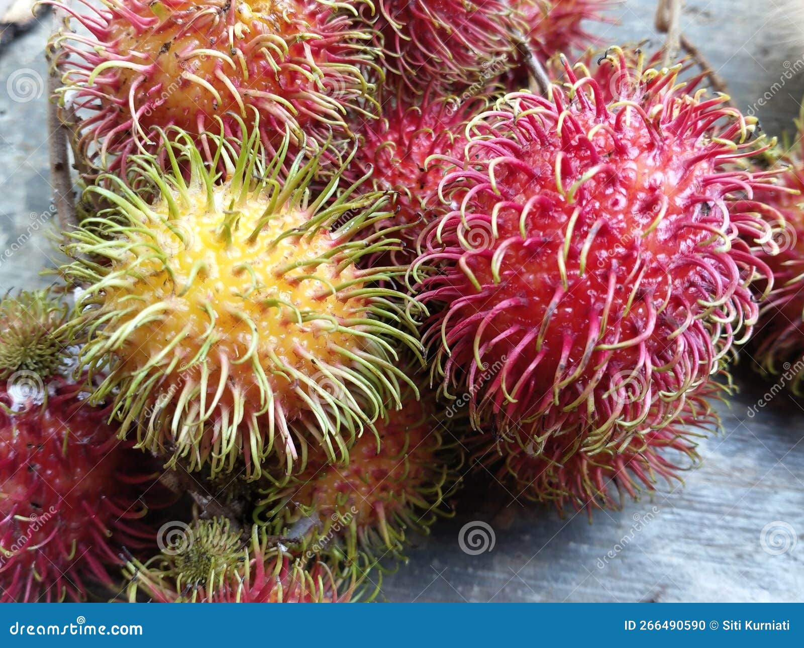 Rambutan is Indonesian Fruit Stock Photo - Image of tropical, fruit ...