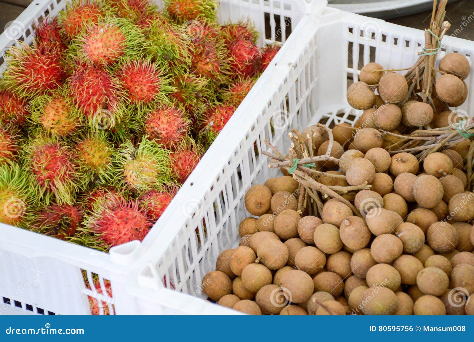 Rambutan and longan stock photo. Image of group, fruit - 80595756