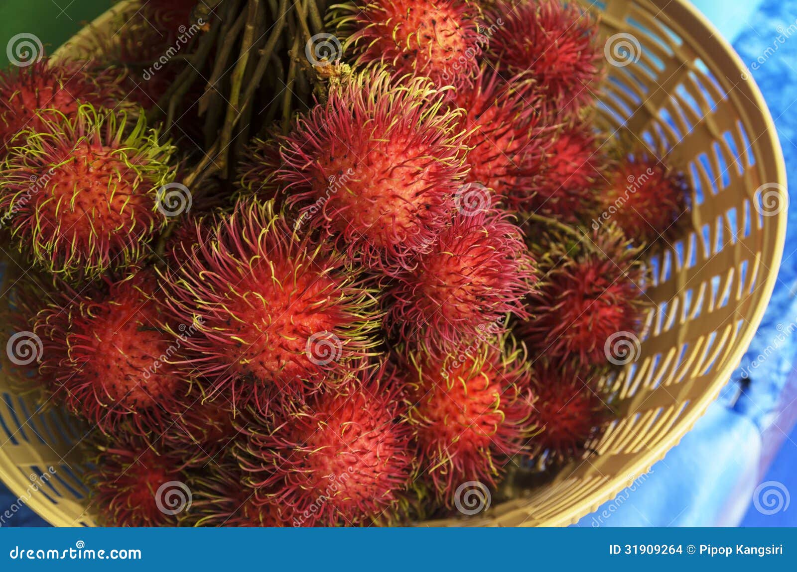 Rambutan ou fruto peludo foto de stock. Imagem de mercado - 31909264