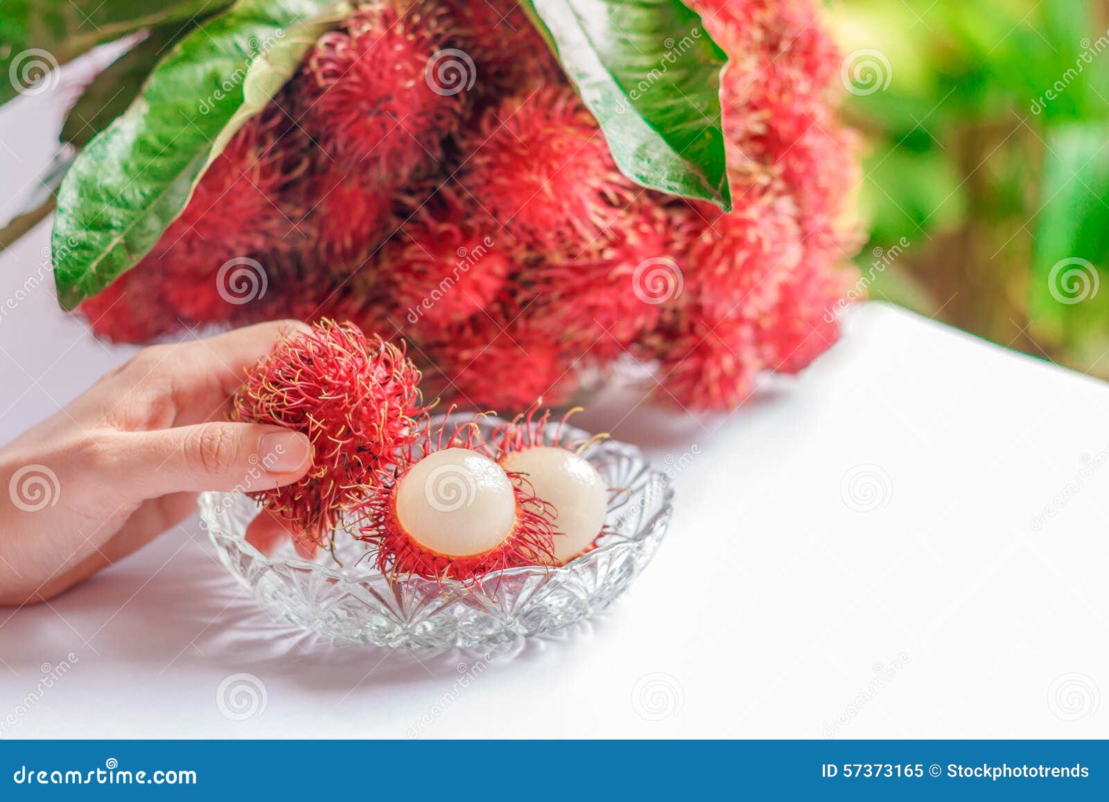 Rambutan peels off half. stock image. Image of closeup - 57373165