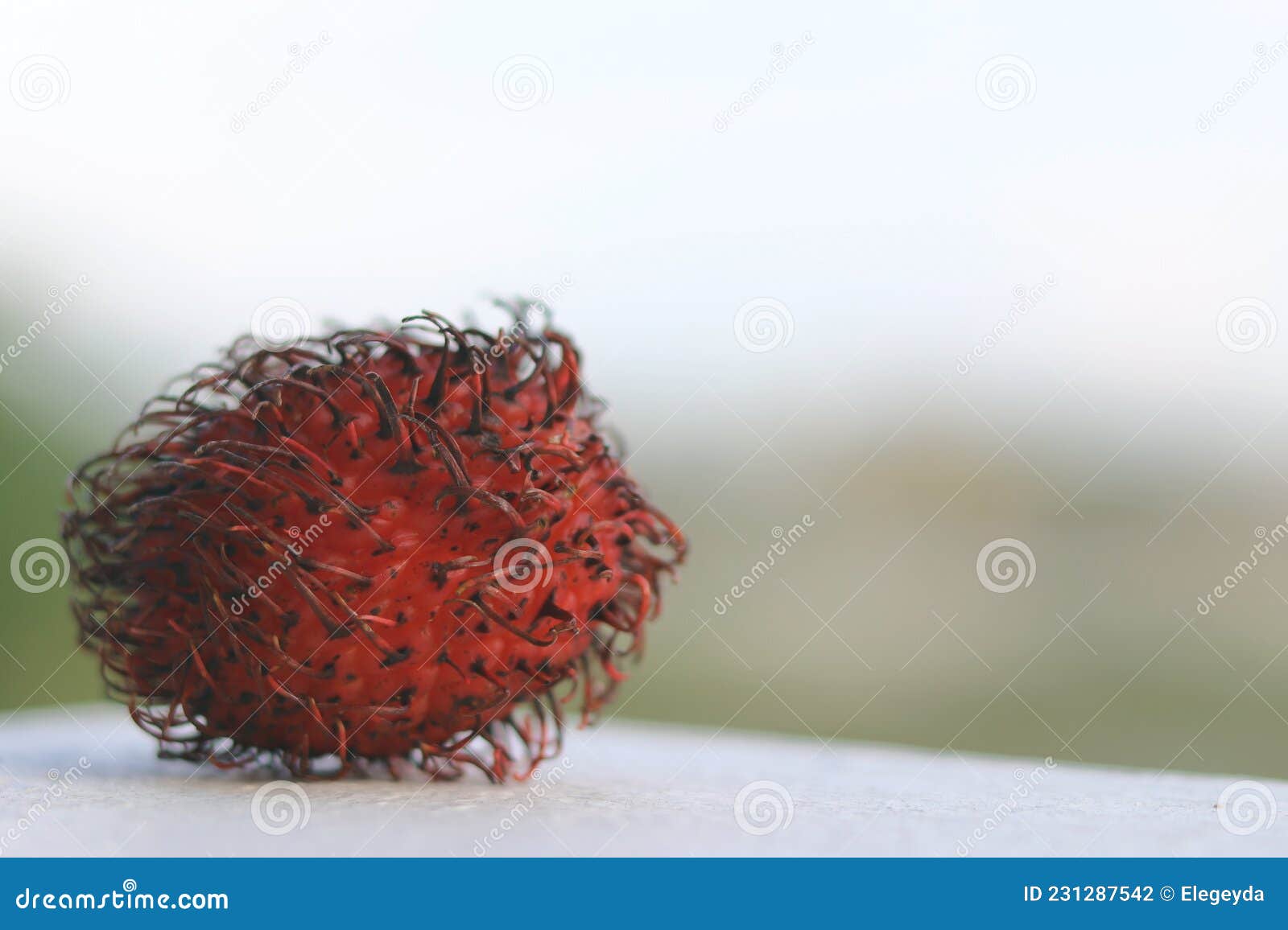 Rambutan Fruit. Beautiful Red Tropical Fruit. Stock Photo - Image of ...