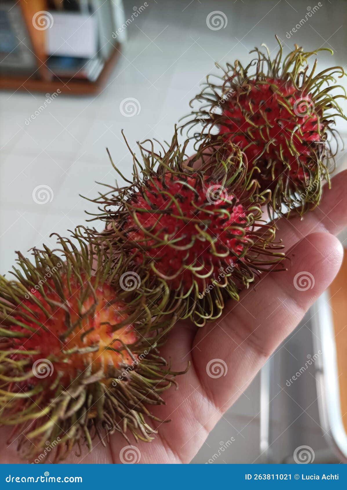 Rambutan is a Tropical Fruit that Has Hair on it Stock Image - Image of ...