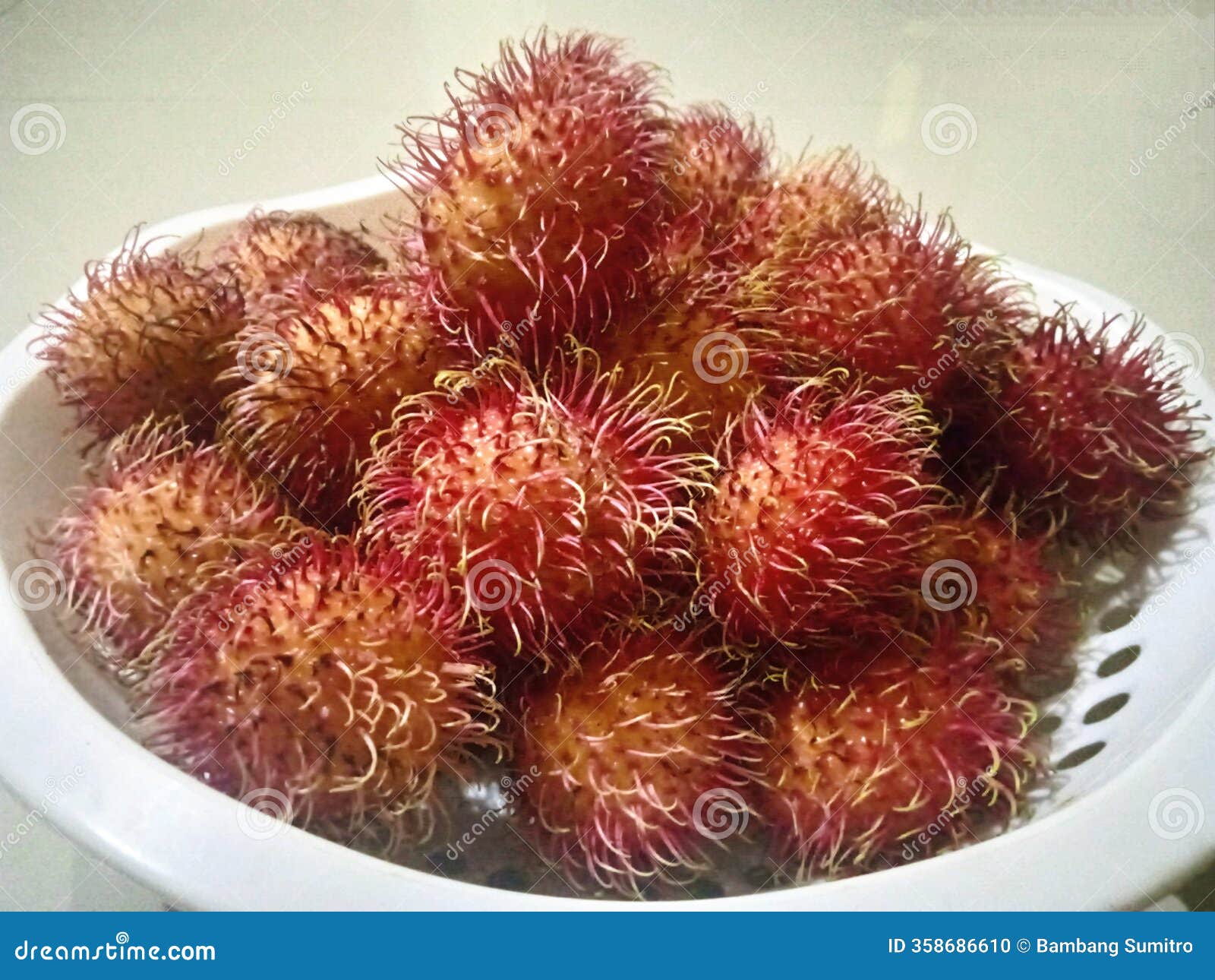 Rambutan is a Typical Indonesian Fruit Stock Photo - Image of fruit ...