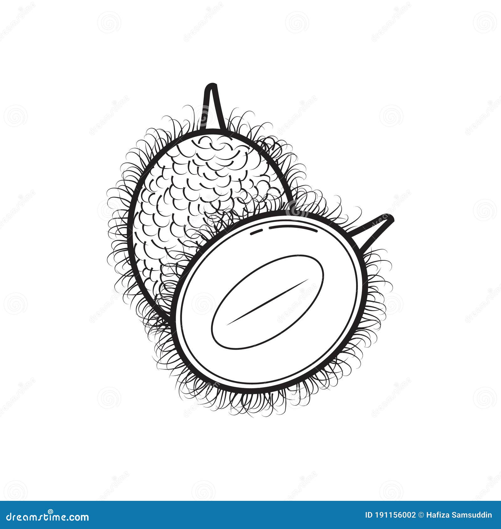 Rambutan. Vector Illustration Decorative Design Stock Vector ...