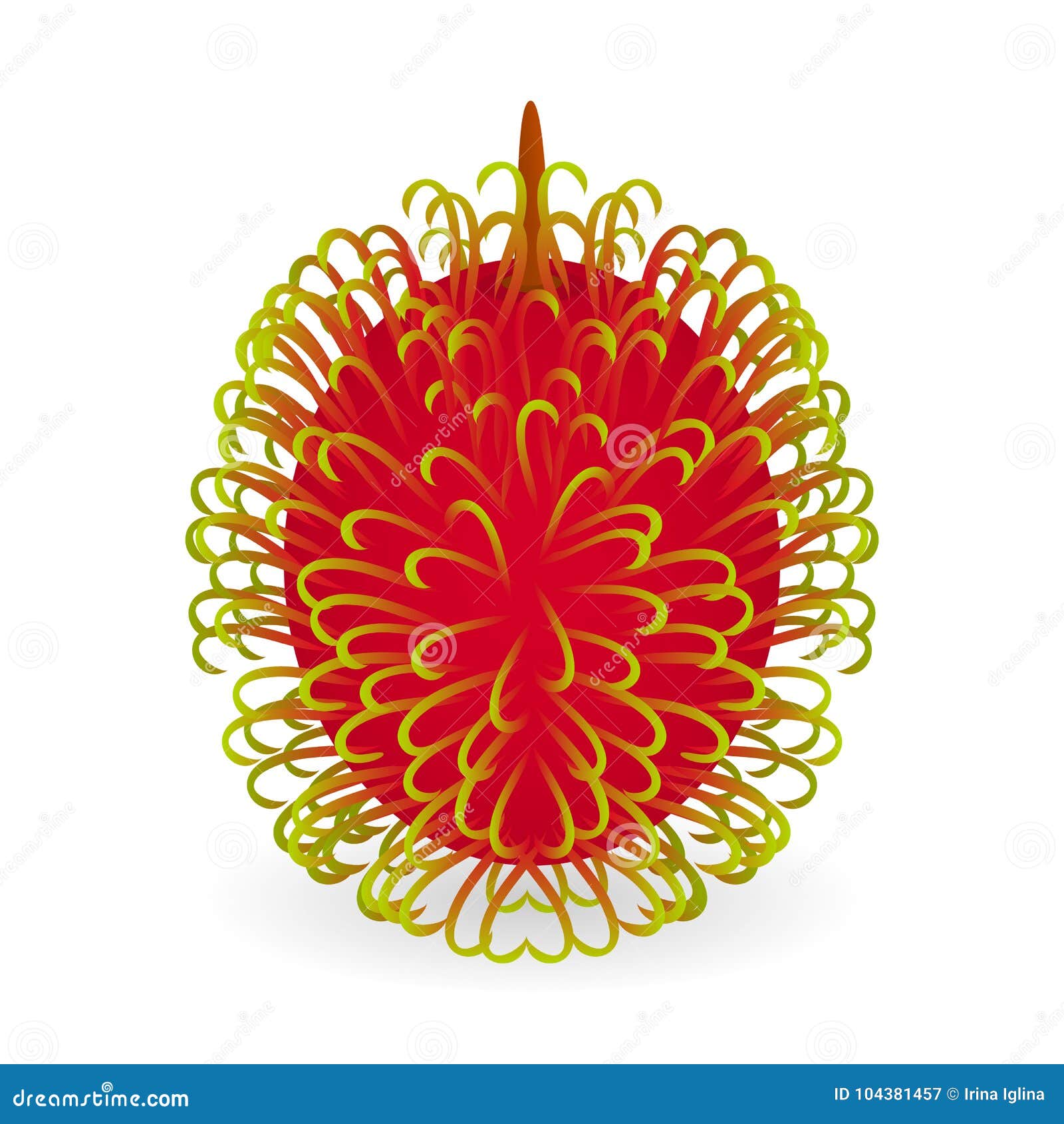 Rambutan Isolated, Vector, Composition. | CartoonDealer.com #65649950
