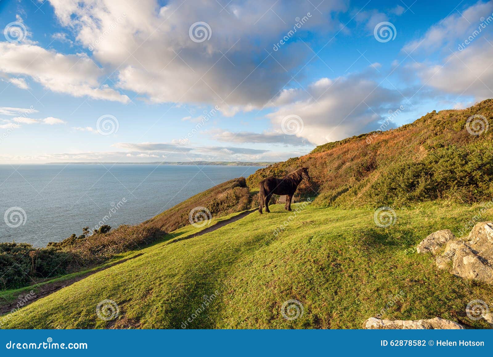 Rame Head in Cornwall stock photo. Image of landscape - 62878582