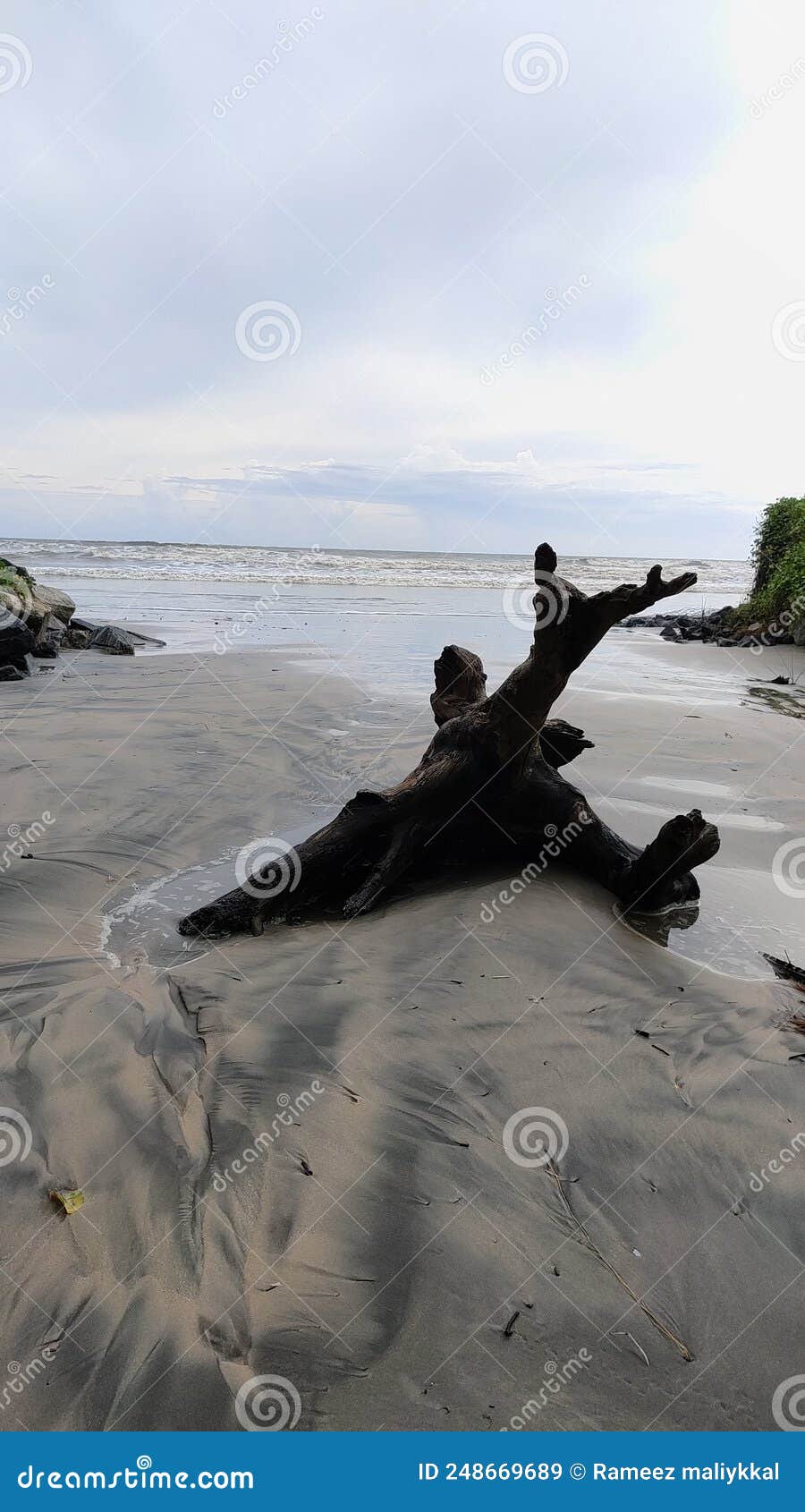 A Lonely Rider On A White Horse Slowly Moving Along A Panama Beach ...