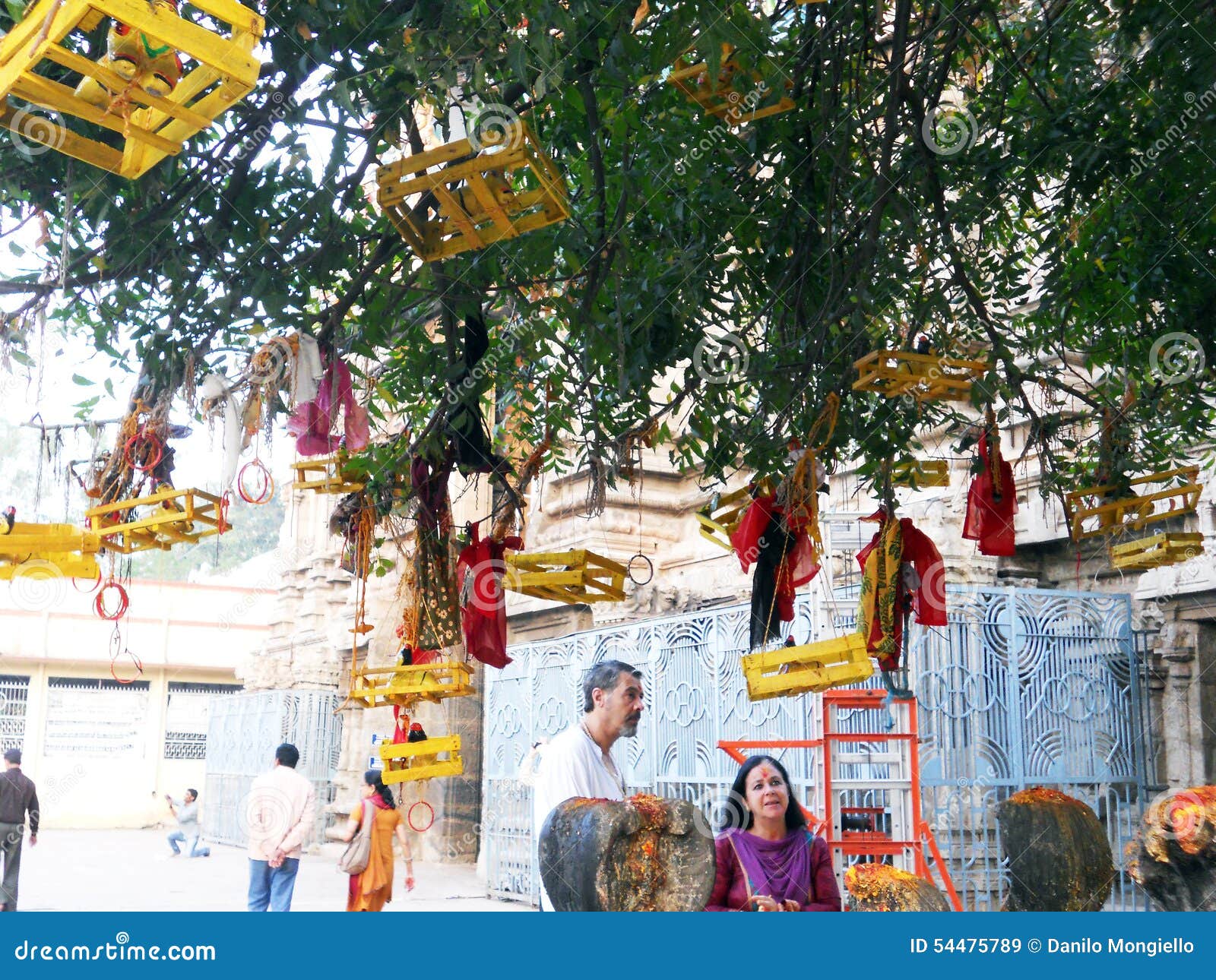 Rameshwaram tree editorial stock image. Image of asia - 54475789