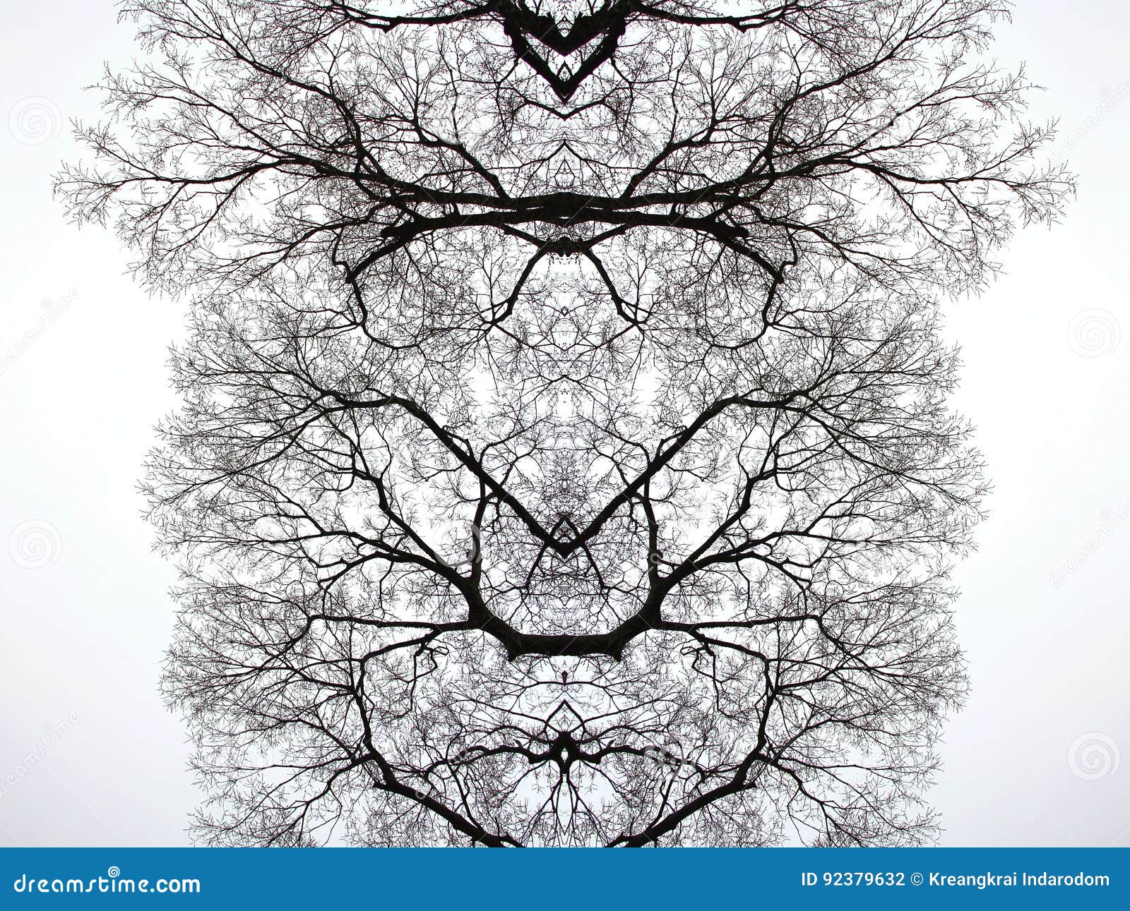 Rami Di Albero, Concetto Astratto Fotografia Stock - Immagine di perso ...