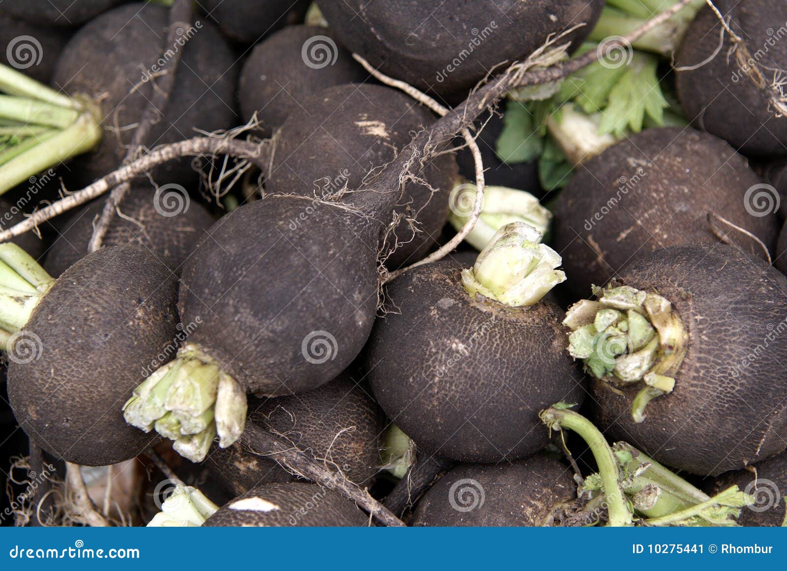 Rammenas stock afbeelding. Image of vers, gezond, markt - 10275441