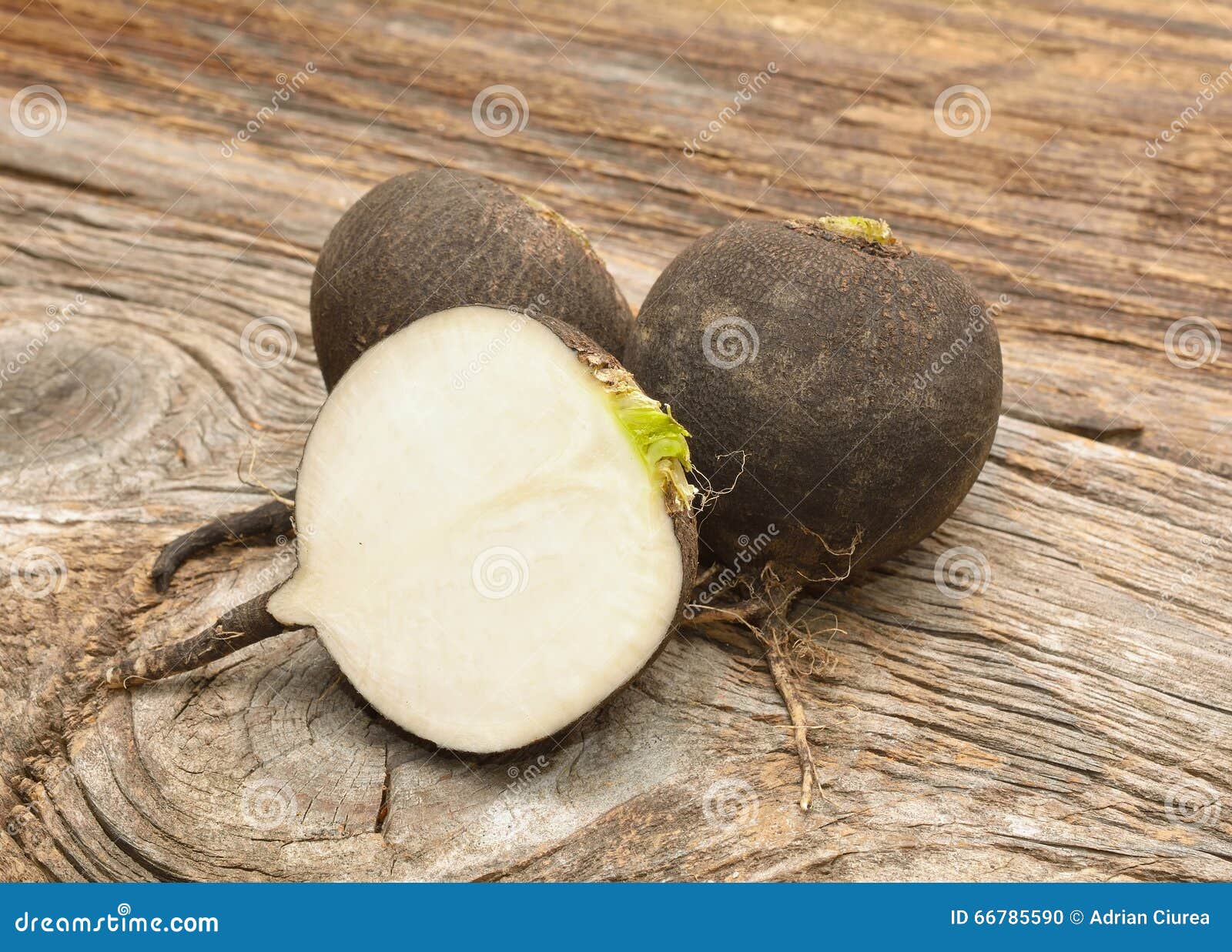 Rammenas stock foto. Image of geneeskunde, salade, sluit - 66785590