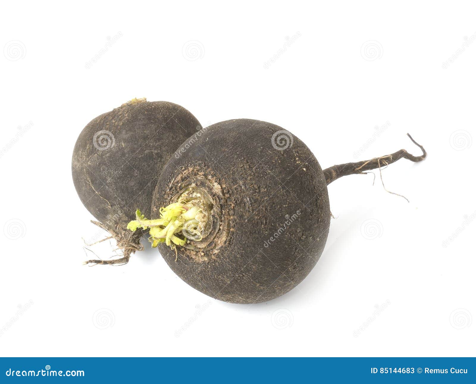 Rammenas Op Witte Achtergrond Wordt Geïsoleerd Die Stock Afbeelding ...