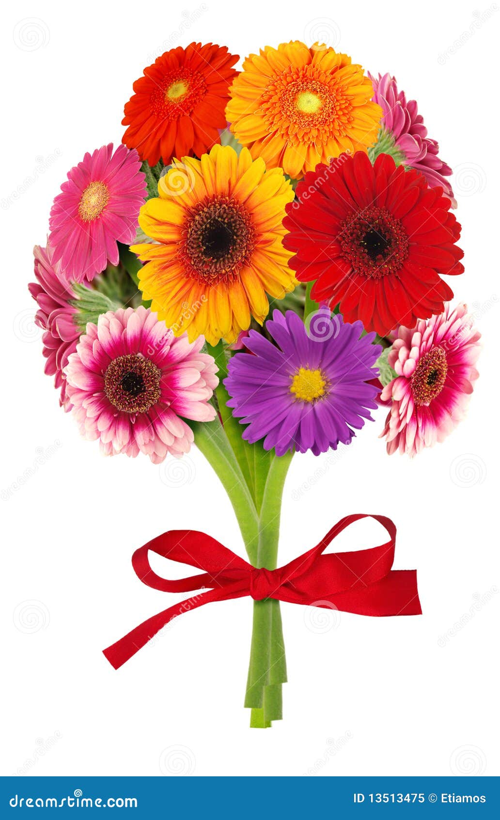 Ramo imagen de archivo. Imagen de crisantemo, limpio - 13513475