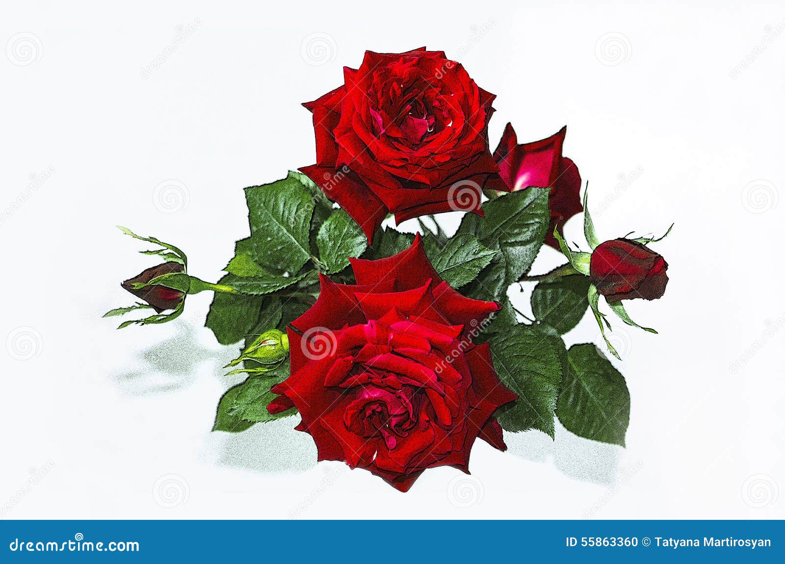 Ramo Abigarrado De Rosas Rojas Con Los Brotes Stock de ilustración ...