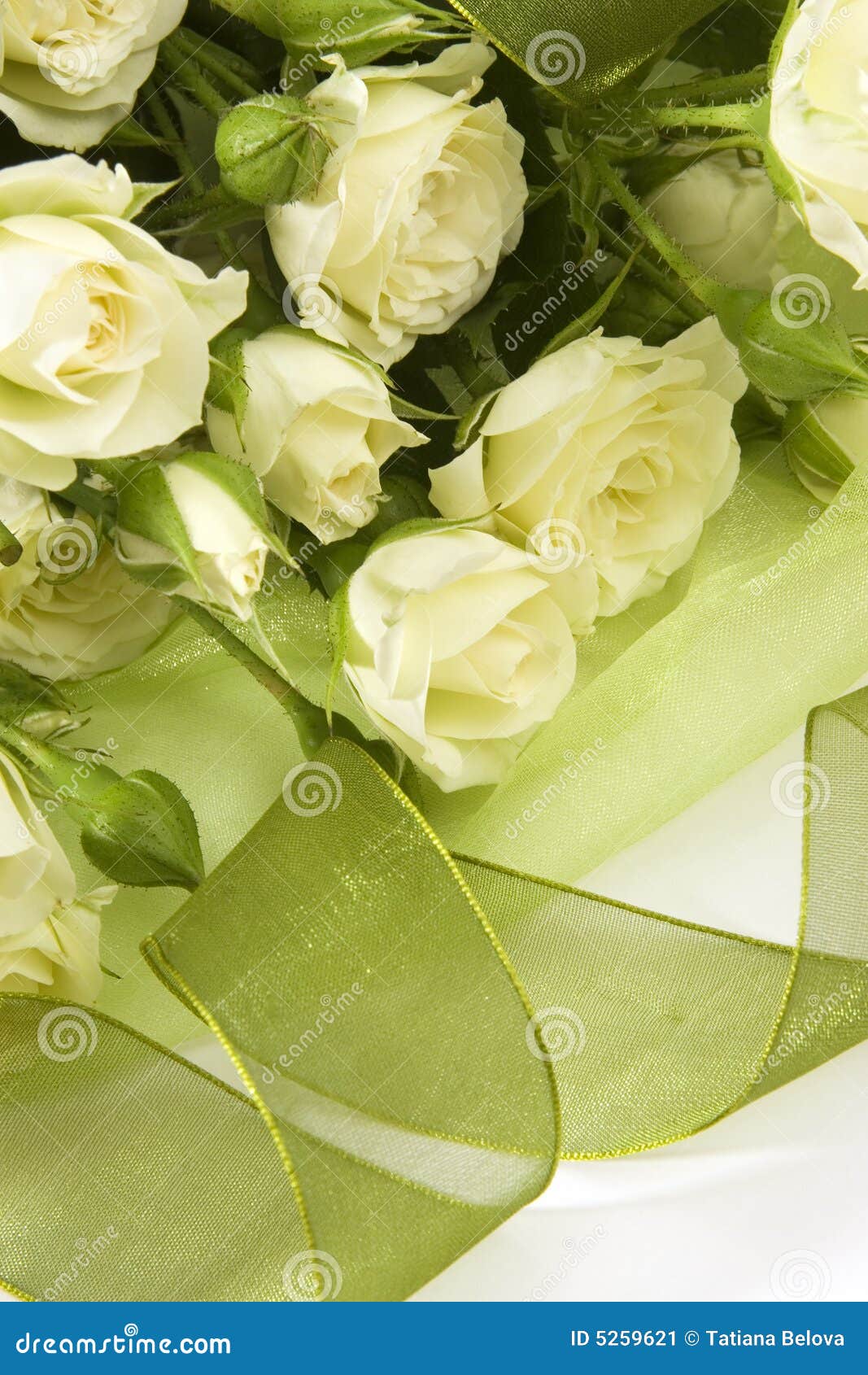 Ramo blanco de las rosas imagen de archivo. Imagen de color - 5259621