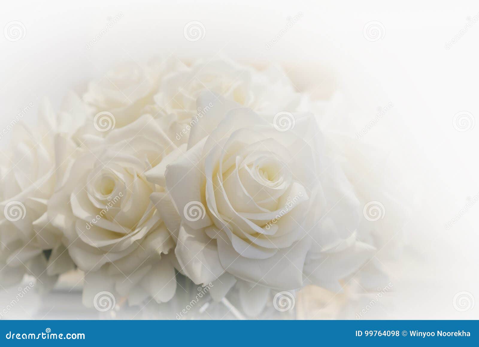 Ramo blanco de las rosas foto de archivo. Imagen de calina - 99764098