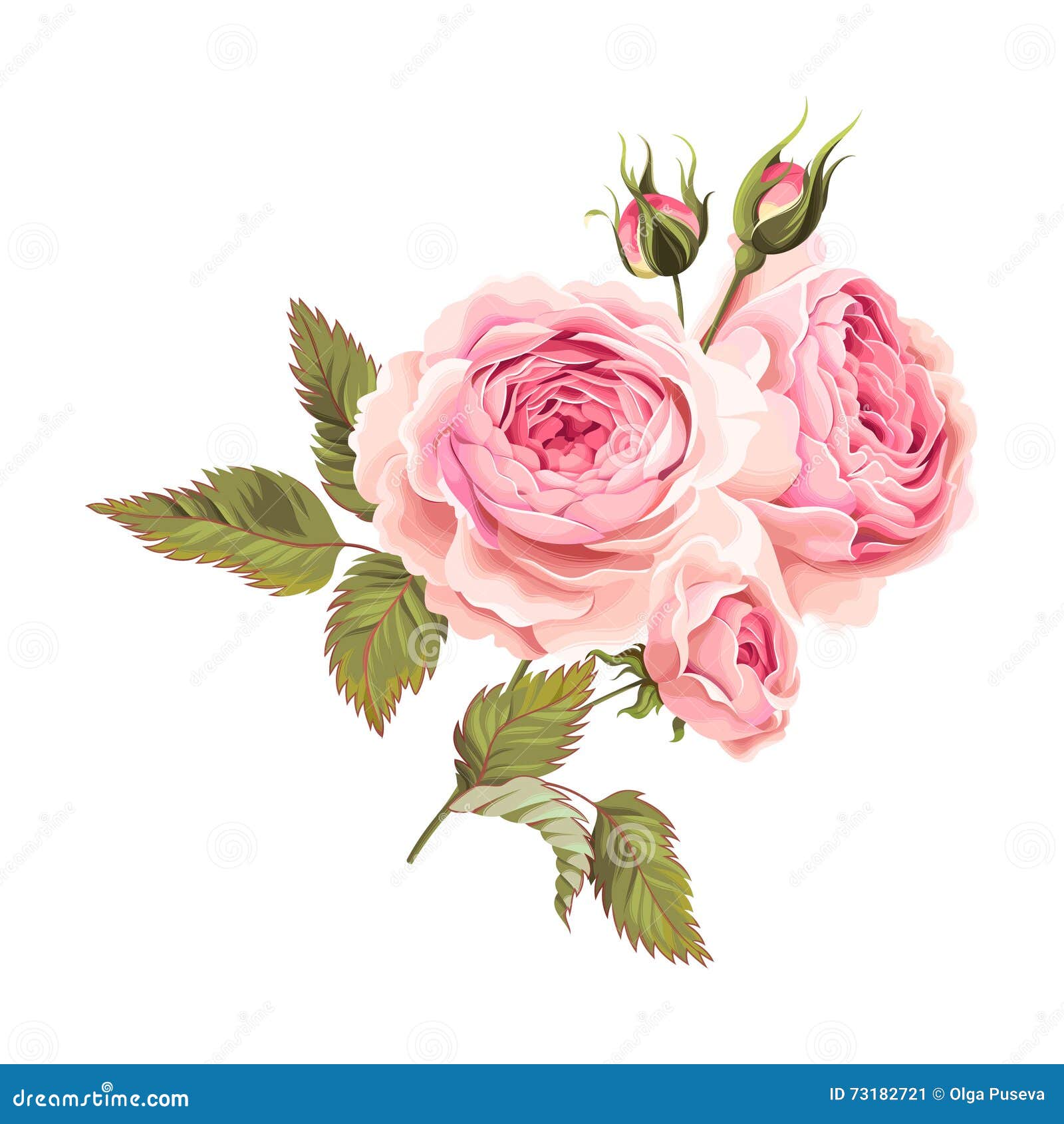 Ramo das rosas ilustração do vetor. Ilustração de botânica - 73182721