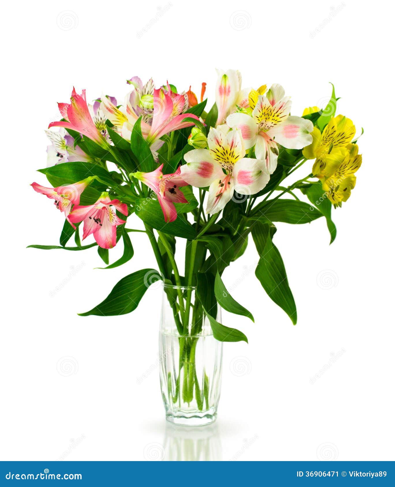 Ramo De Alstroemeria Multicolor Imagen de archivo - Imagen de flores ...