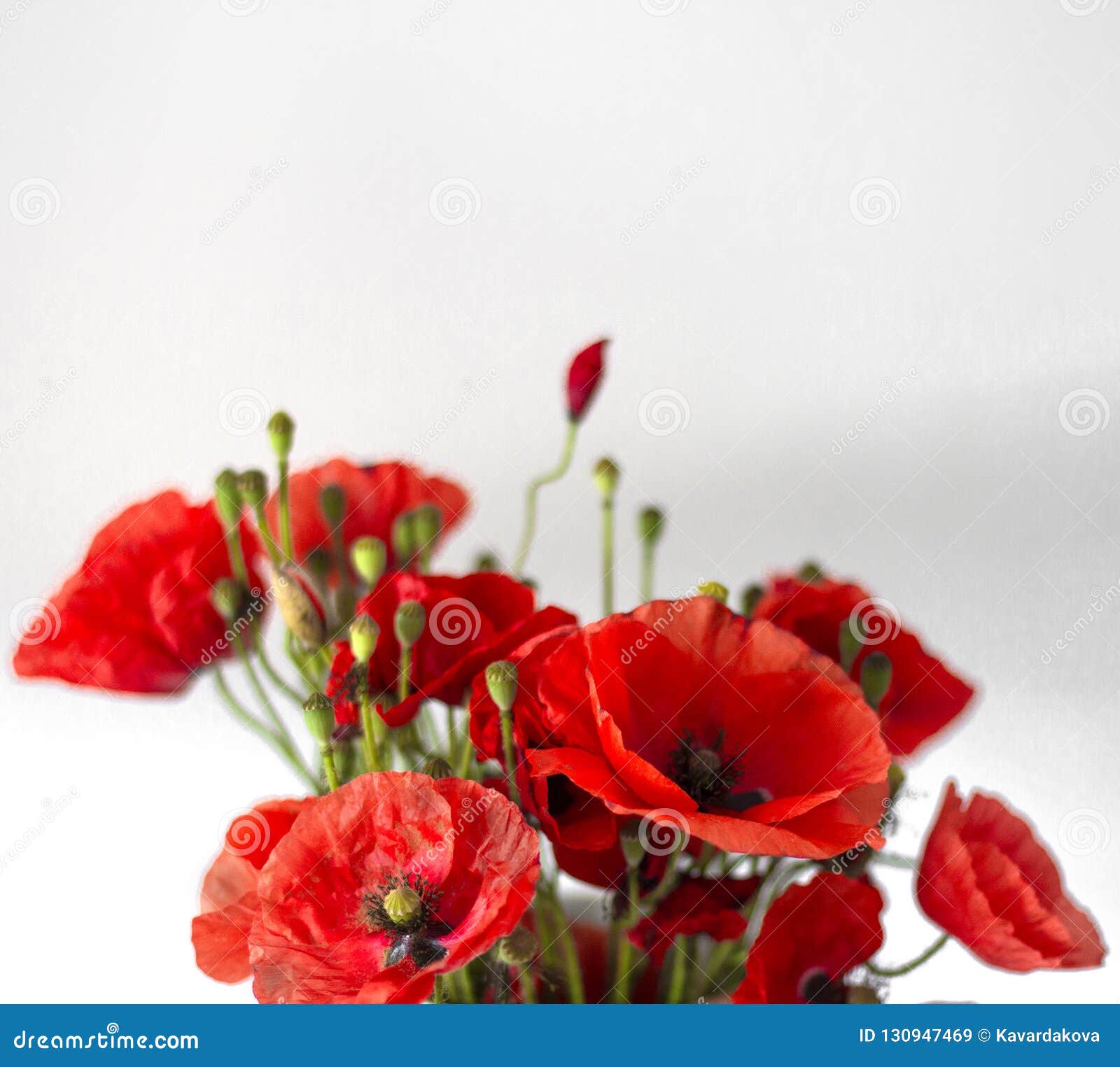 Ramo de amapolas de campo imagen de archivo. Imagen de fondo - 130947469