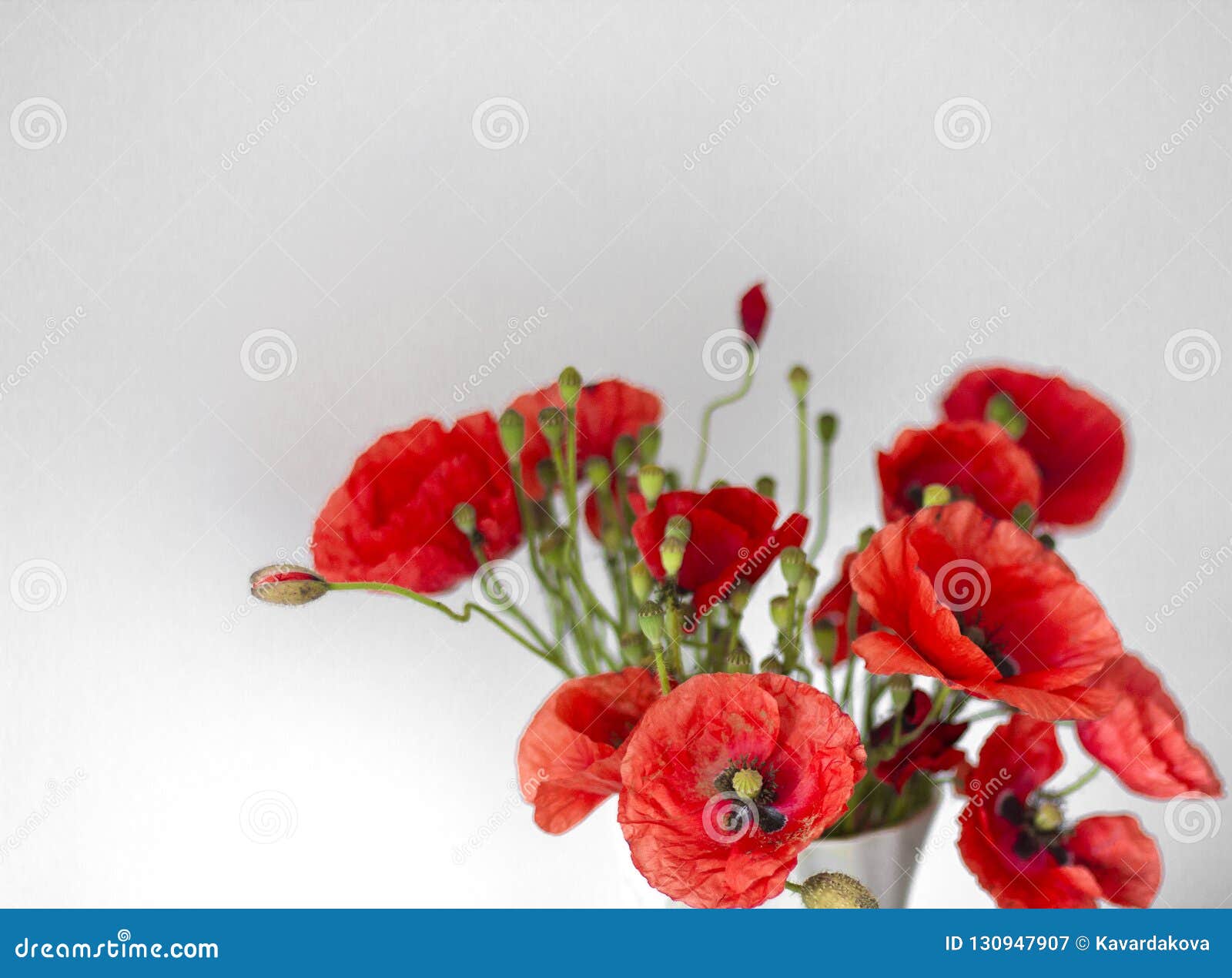 Ramo de amapolas de campo imagen de archivo. Imagen de travieso - 130947907