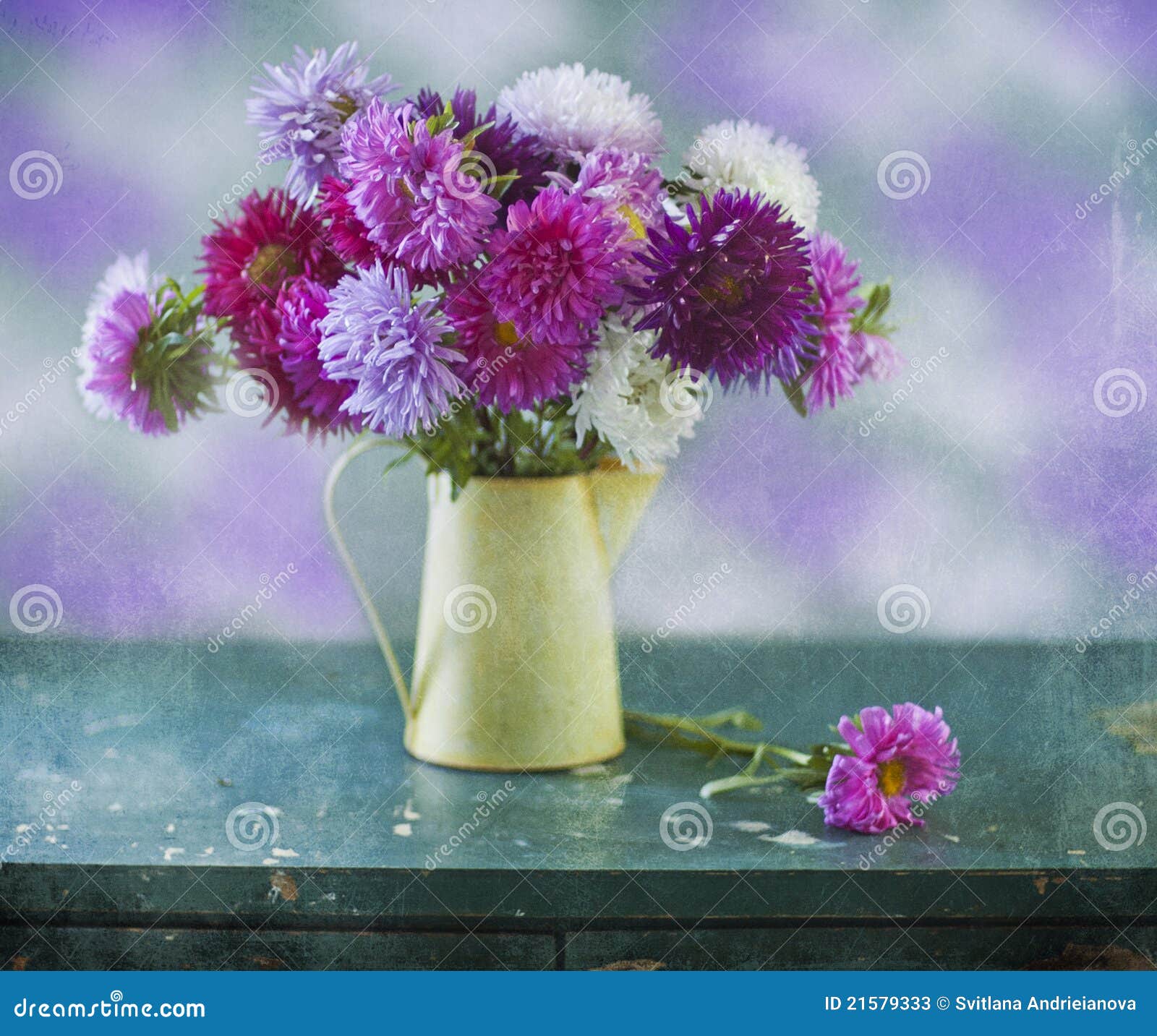 Ramo de asteres imagen de archivo. Imagen de rosa, aster - 21579333