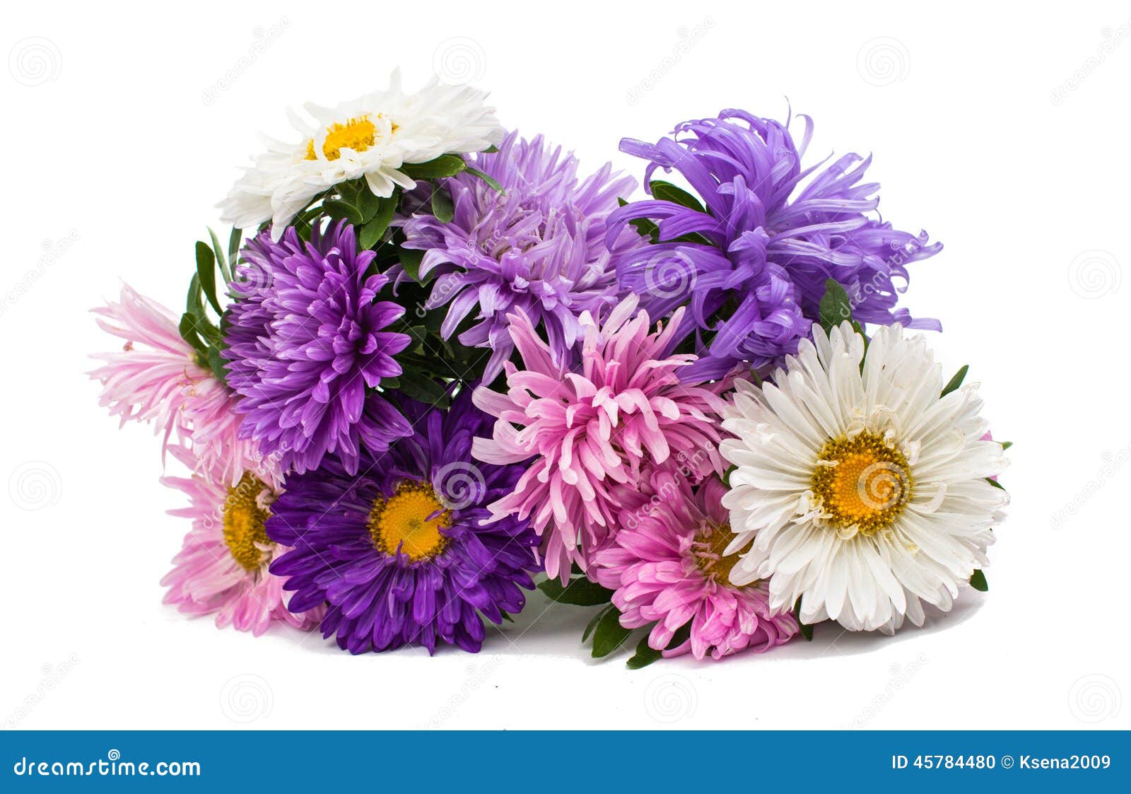 Ramo de asteres foto de archivo. Imagen de polen, rojo - 45784480