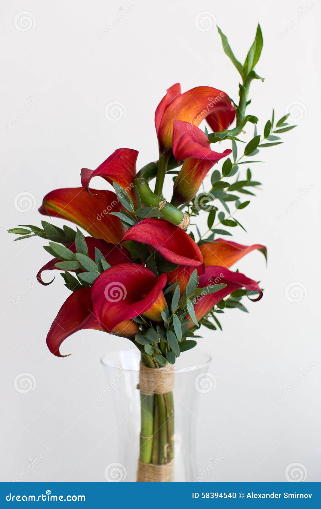 Ramo de calas rojas foto de archivo. Imagen de hoja, manojo - 58394540