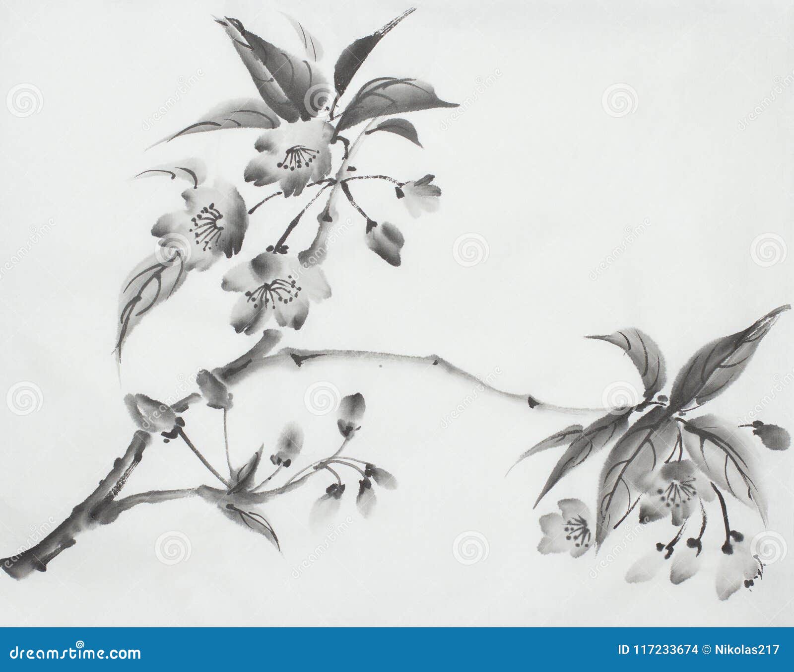 Ramo de Cherry Blossom ilustração stock. Ilustração de japonês - 117233674