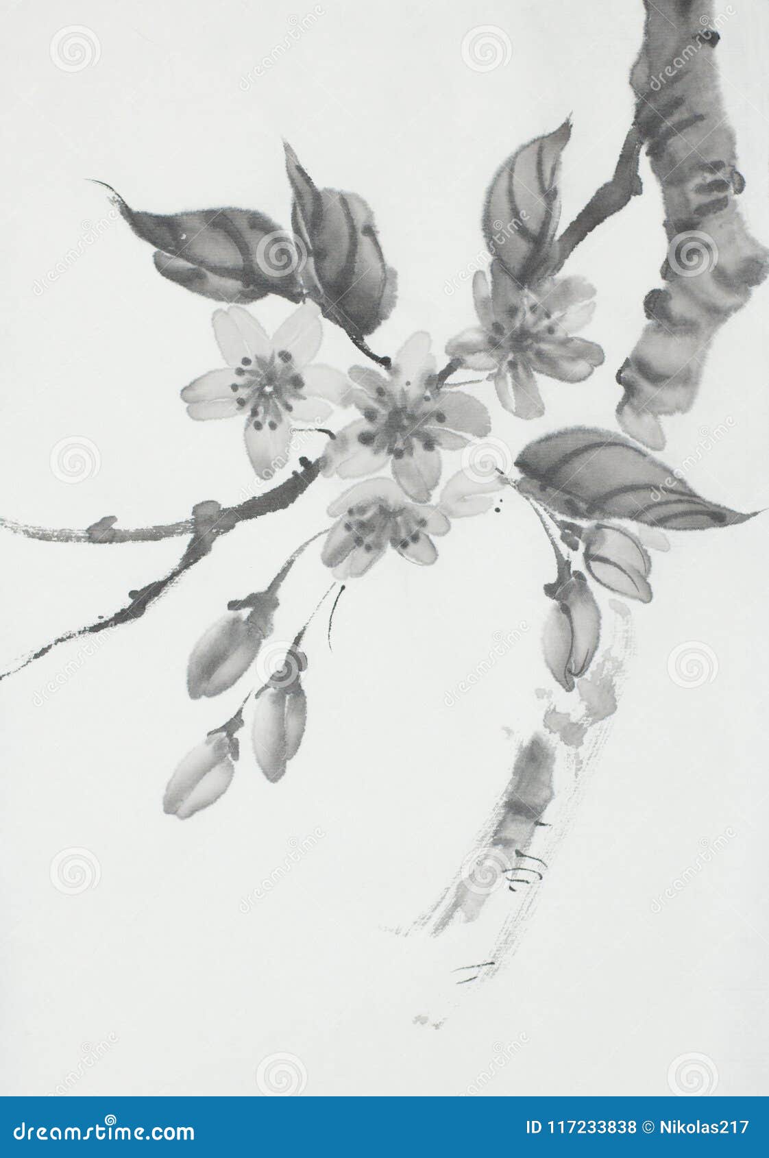 Ramo de Cherry Blossom ilustração stock. Ilustração de culto - 117233838