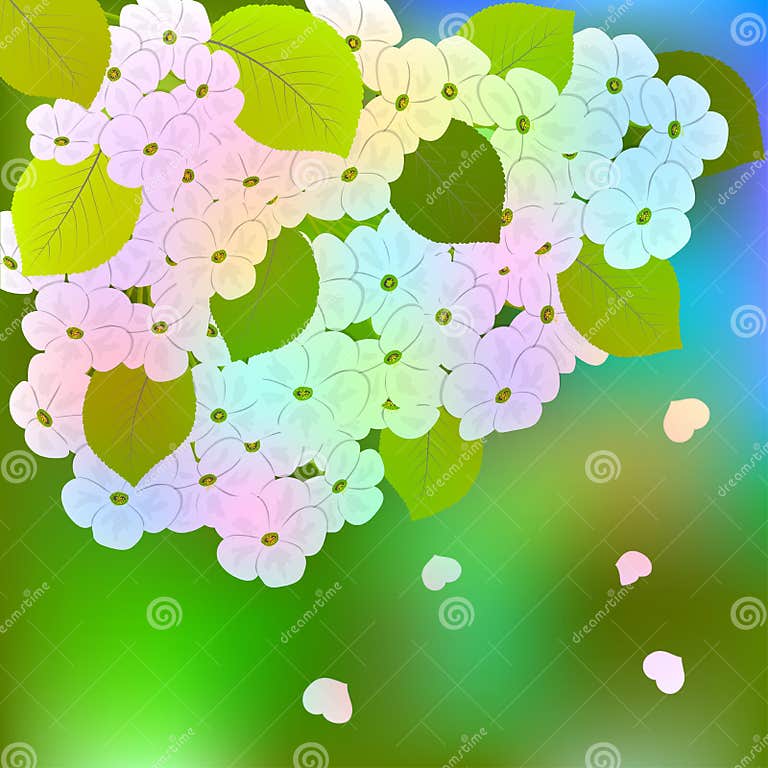 Ramo de Cherry Blossom ilustração do vetor. Ilustração de parque - 93312099