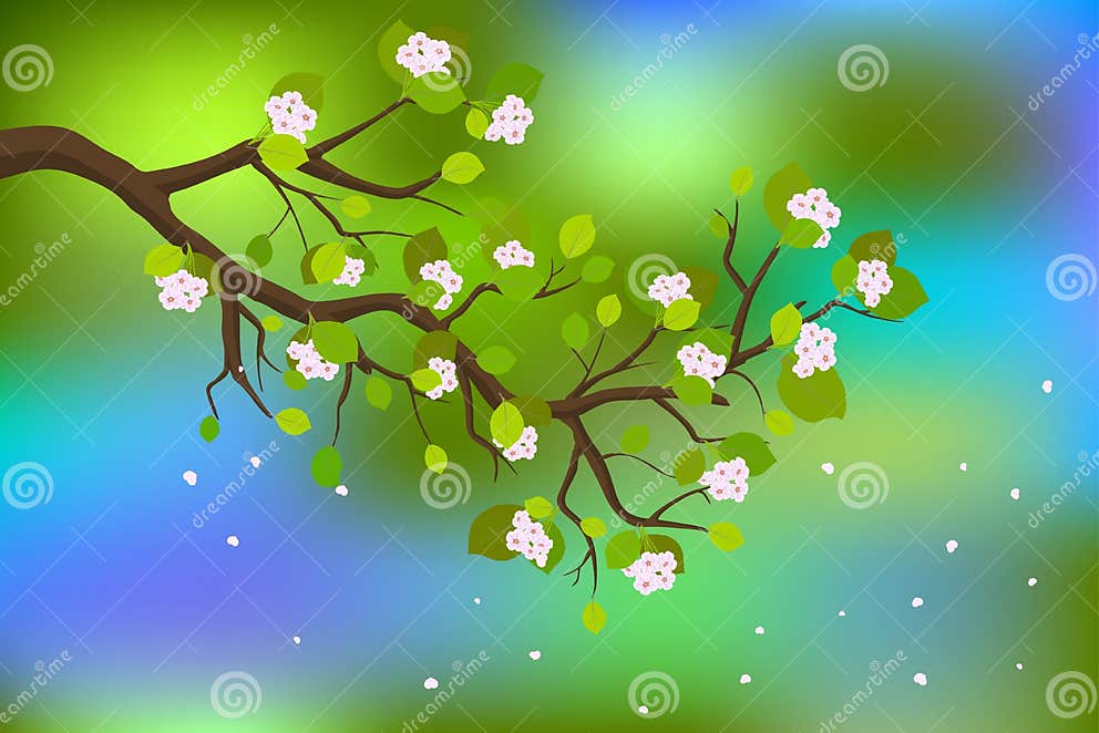 Ramo de Cherry Blossom ilustração do vetor. Ilustração de fresco - 93777860