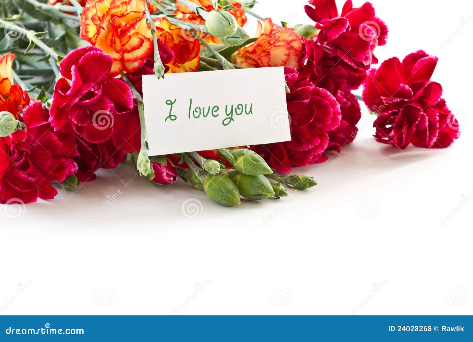 Ramo de claveles rojos foto de archivo. Imagen de fondo - 24028268