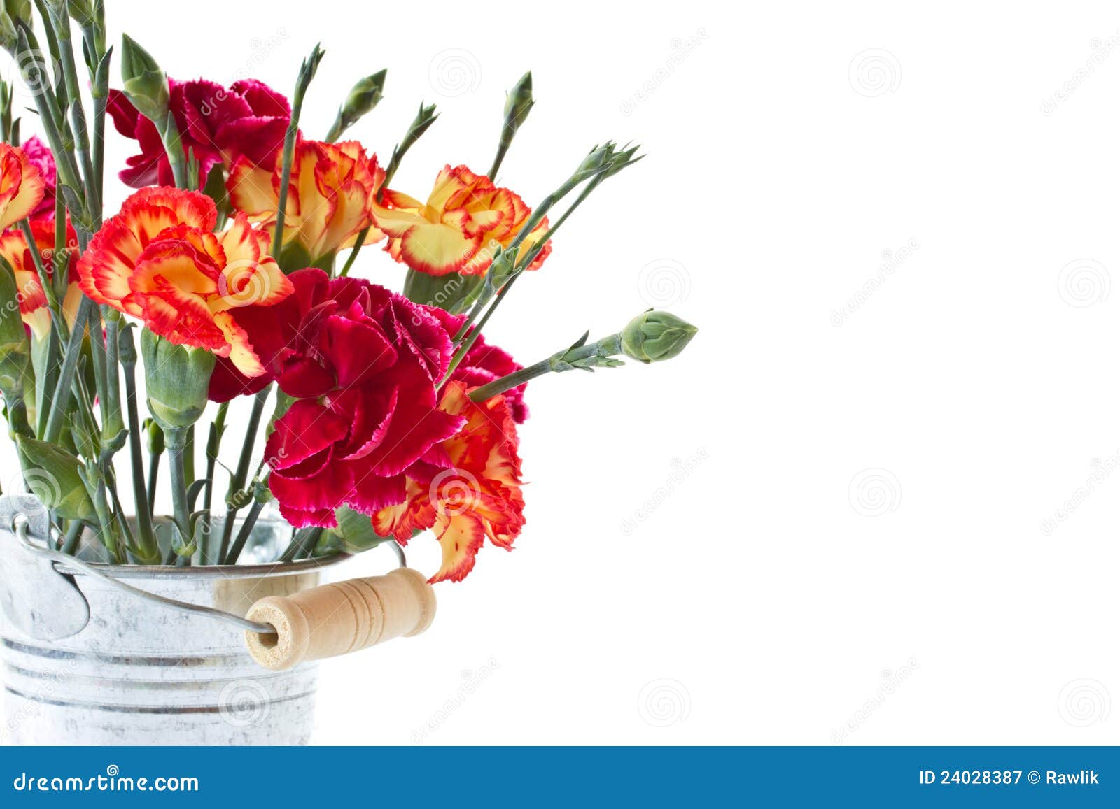 Ramo de claveles rojos imagen de archivo. Imagen de regalo - 24028387