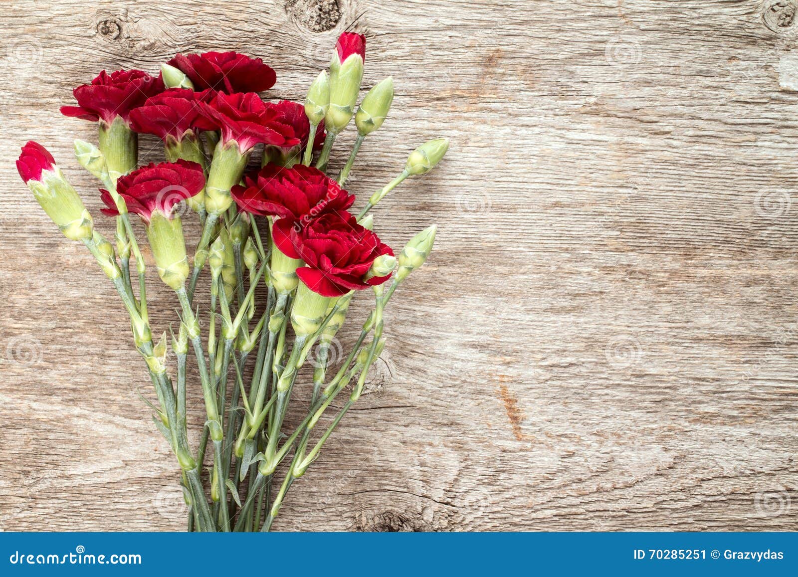 Ramo de claveles rojos imagen de archivo. Imagen de clavel - 70285251