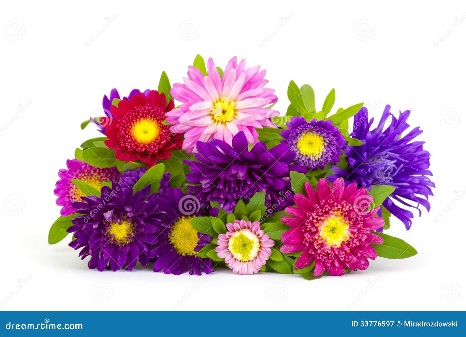 Ramo De Flores Coloridas De Los Asteres Imagen de archivo - Imagen de ...