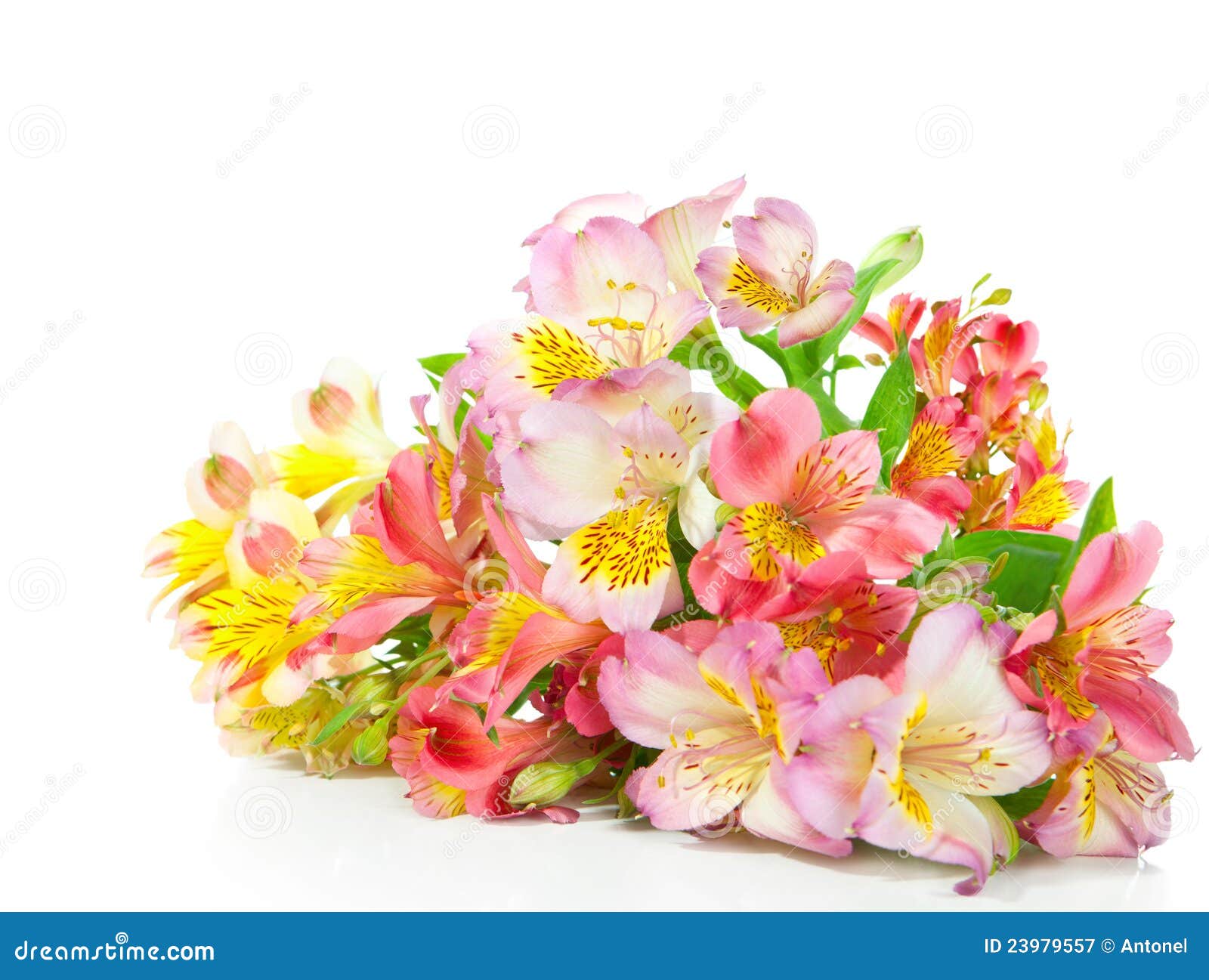 Ramo De Flores Del Alstroemeria Imagen de archivo - Imagen de flor ...