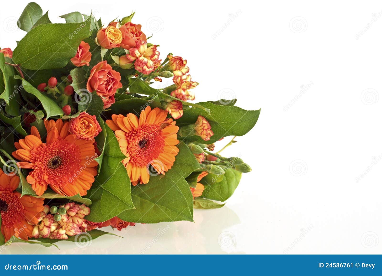 Ramo de flores hermosas imagen de archivo. Imagen de floral - 24586761