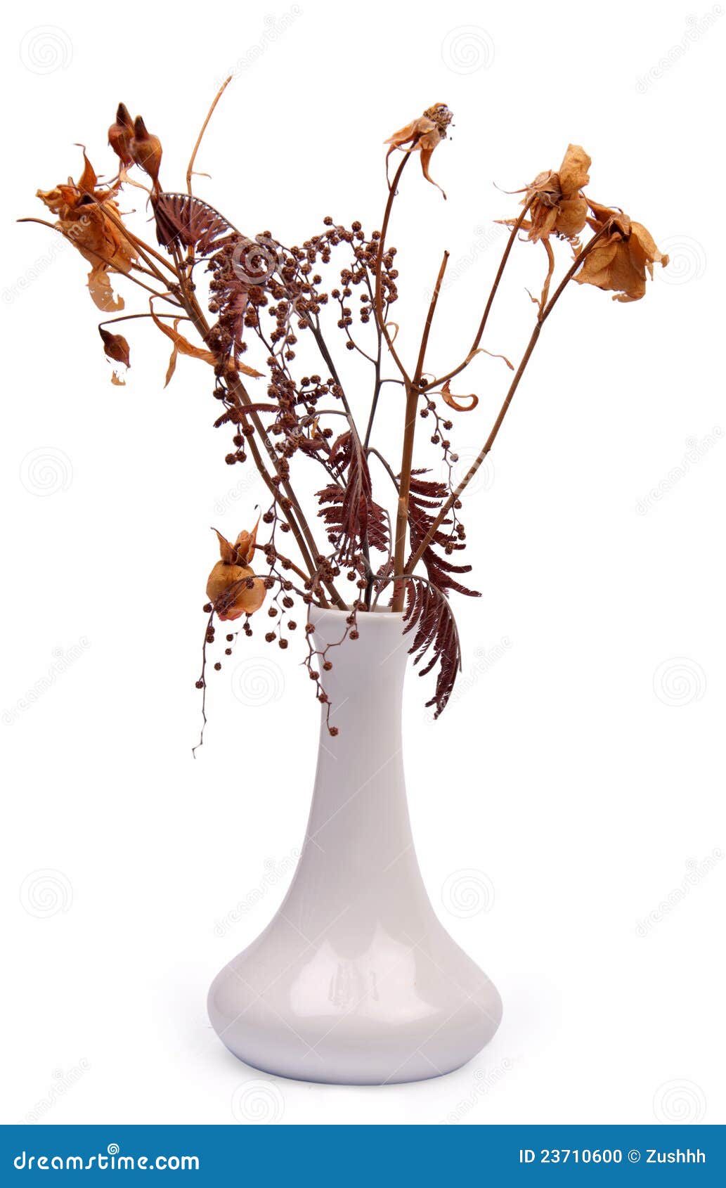 Ramo De Flores Secas En Un Florero Foto de archivo - Imagen de vertical ...