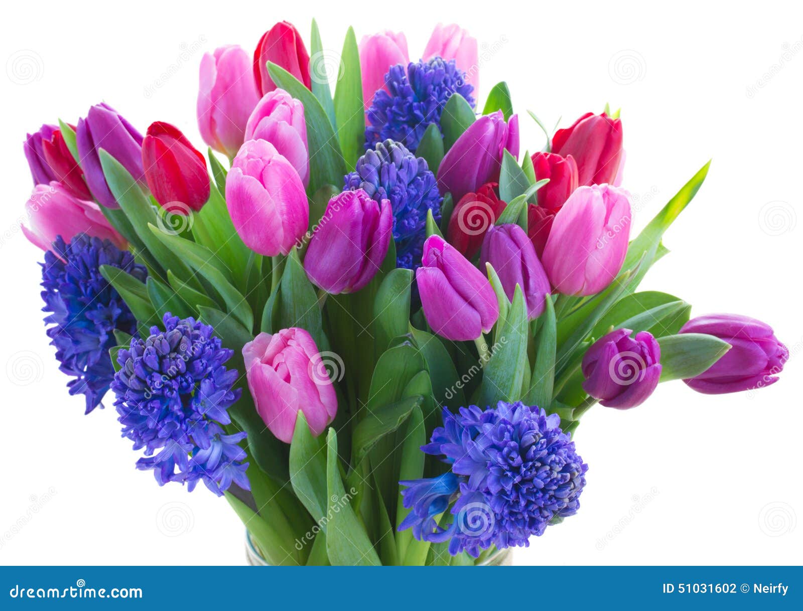 Ramo De Jacinto Y De Tulipanes Azules Foto de archivo - Imagen de ...