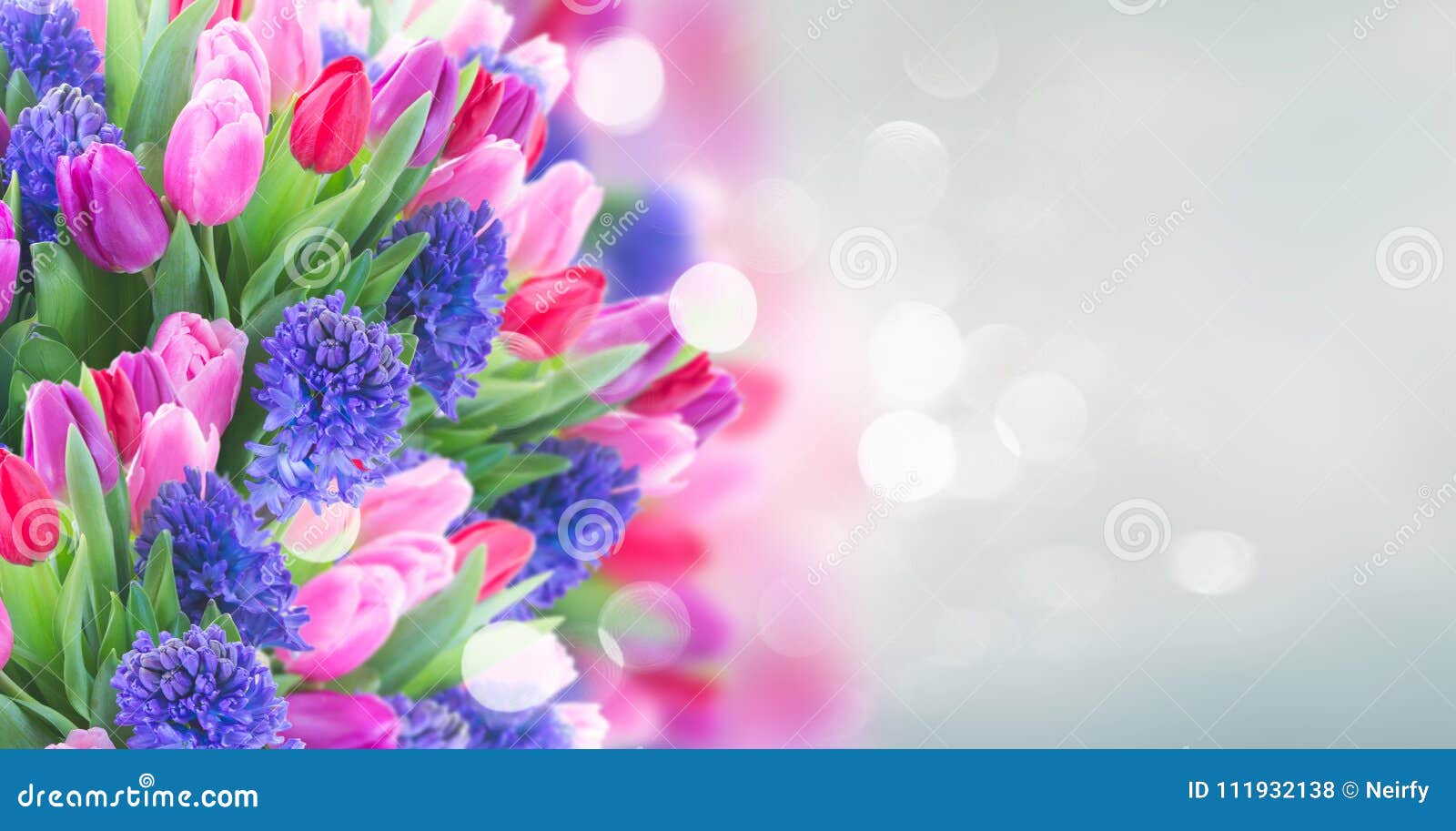 Ramo De Jacinto Y De Tulipanes Azules Foto de archivo - Imagen de flor ...