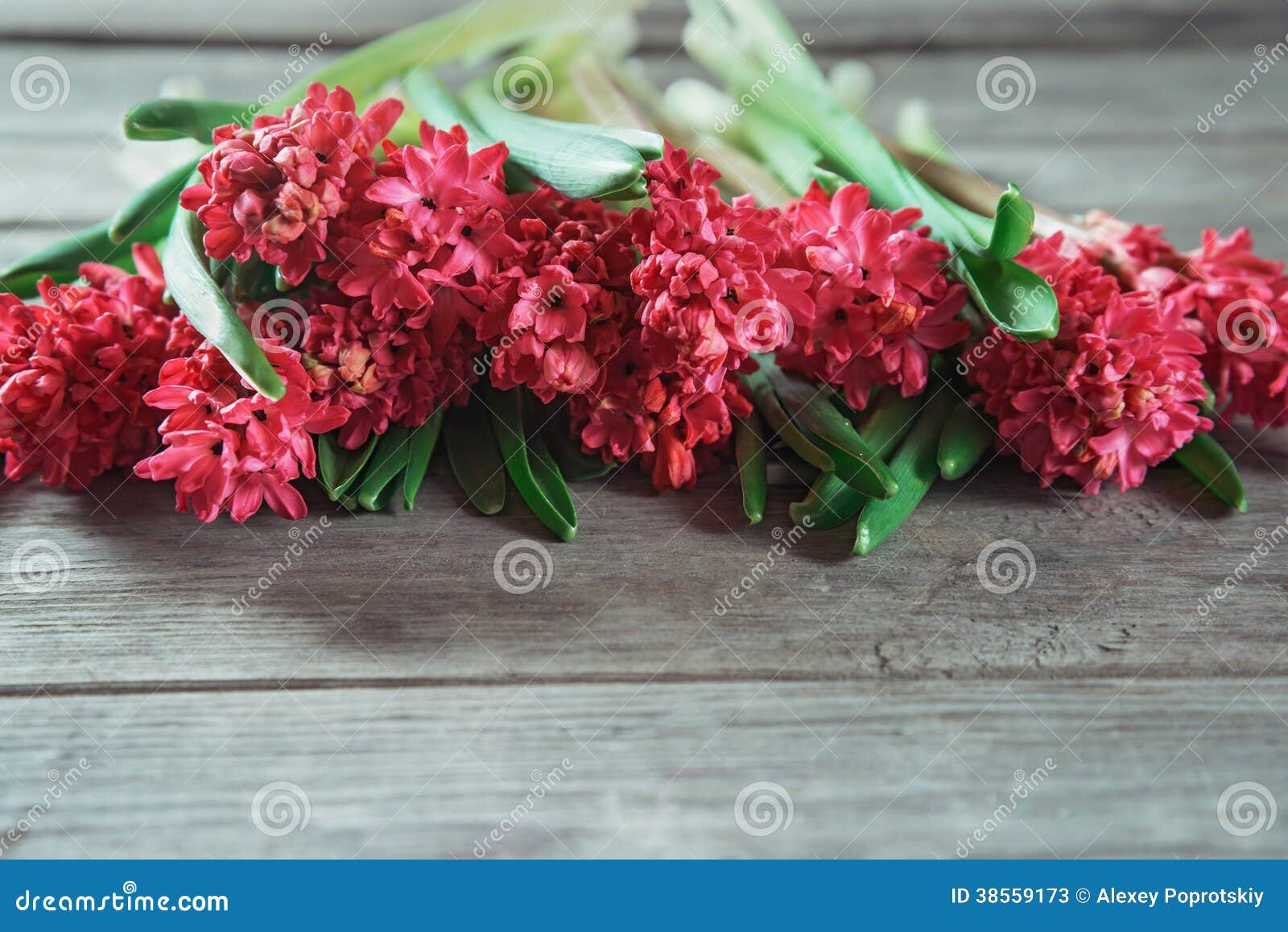 Ramo De Jacintos Rojos En Una Tabla De Madera Imagen de archivo ...