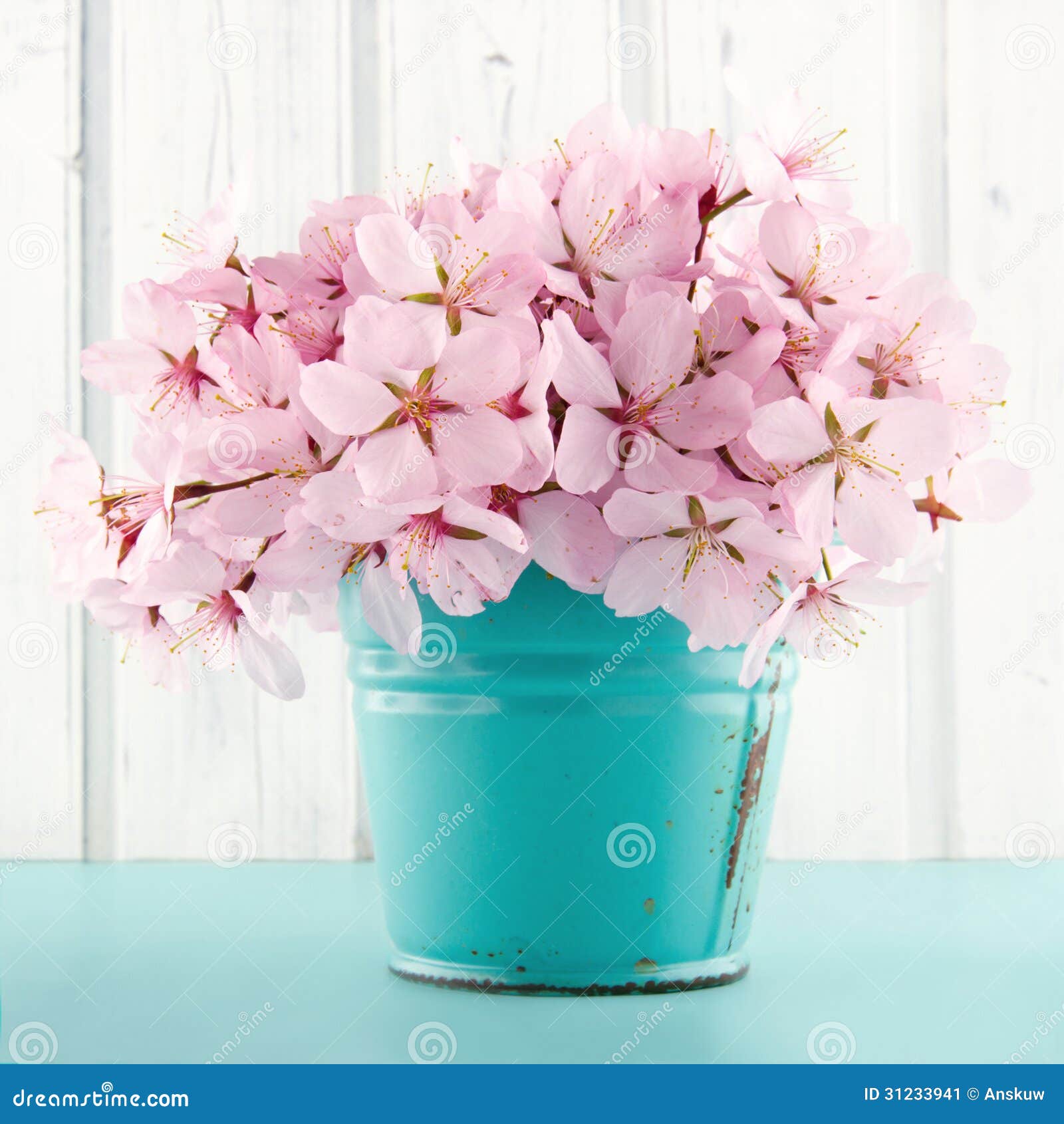 Ramo De La Flor De La Flor De Cerezo Imagen de archivo - Imagen de cubo ...