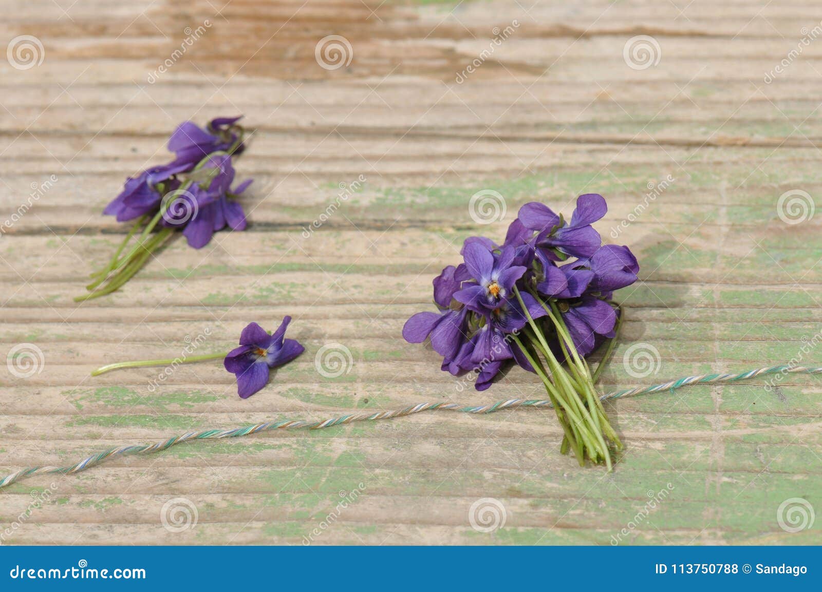 Ramo de las violetas foto de archivo. Imagen de abril - 113750788